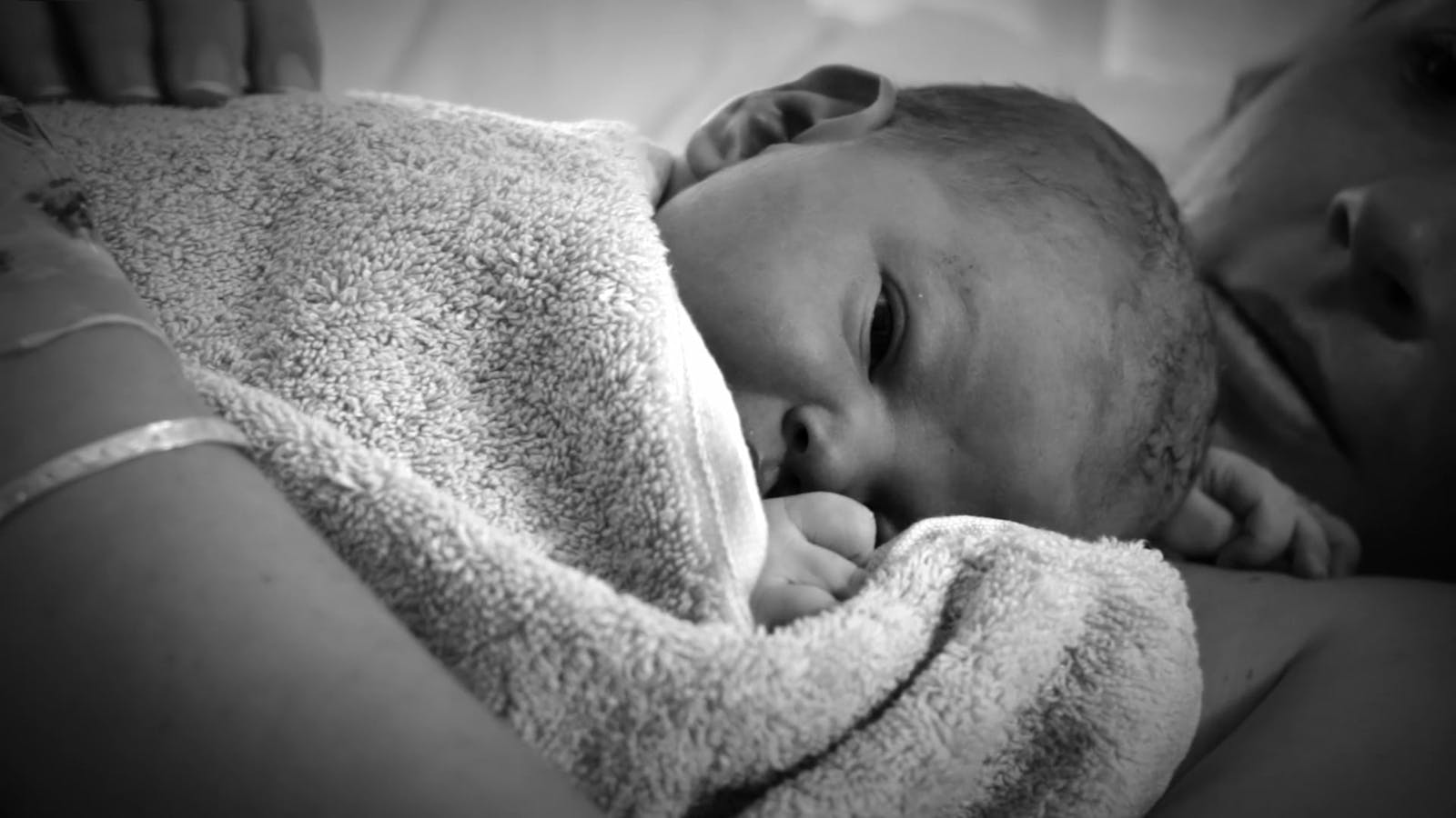 Baby Gemini Videos, Download The BEST Free 4k Stock Video Footage ...