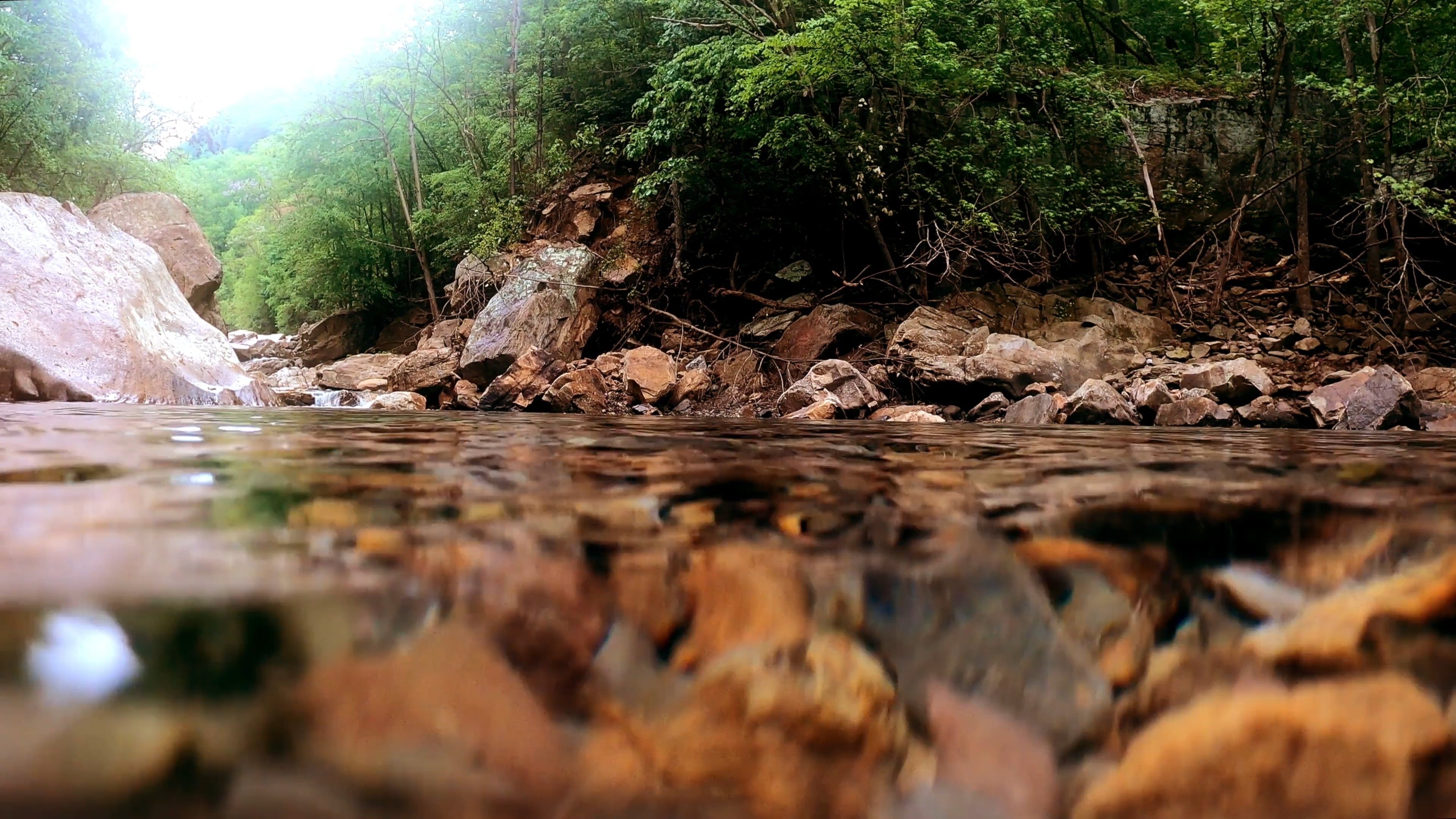 Rock Throwing On The River Shallow Water Free Stock Video Footage ...