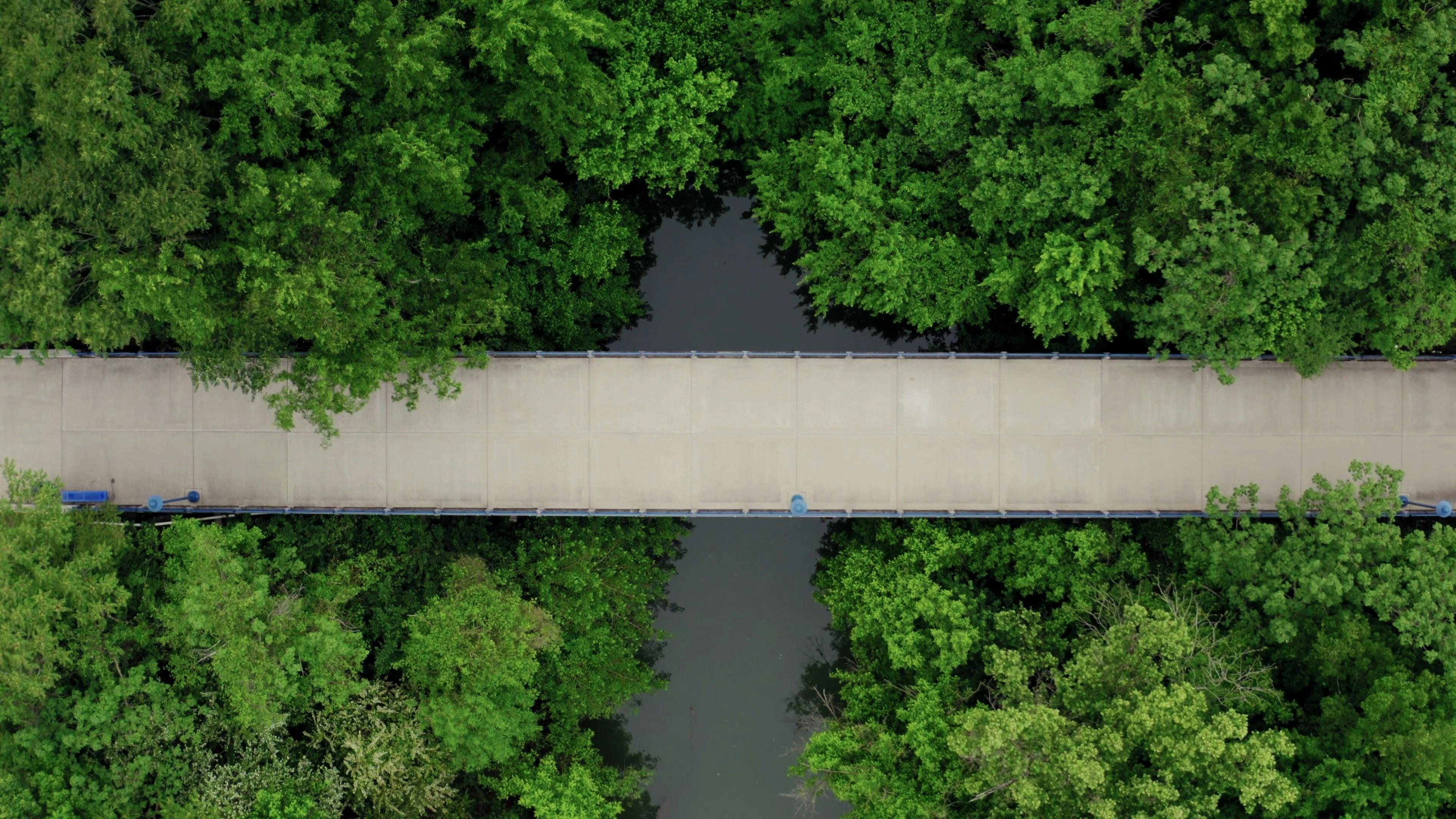 Birds-eye View Of A Bridge Built Crossing A Forest Swamp · Free Stock Video