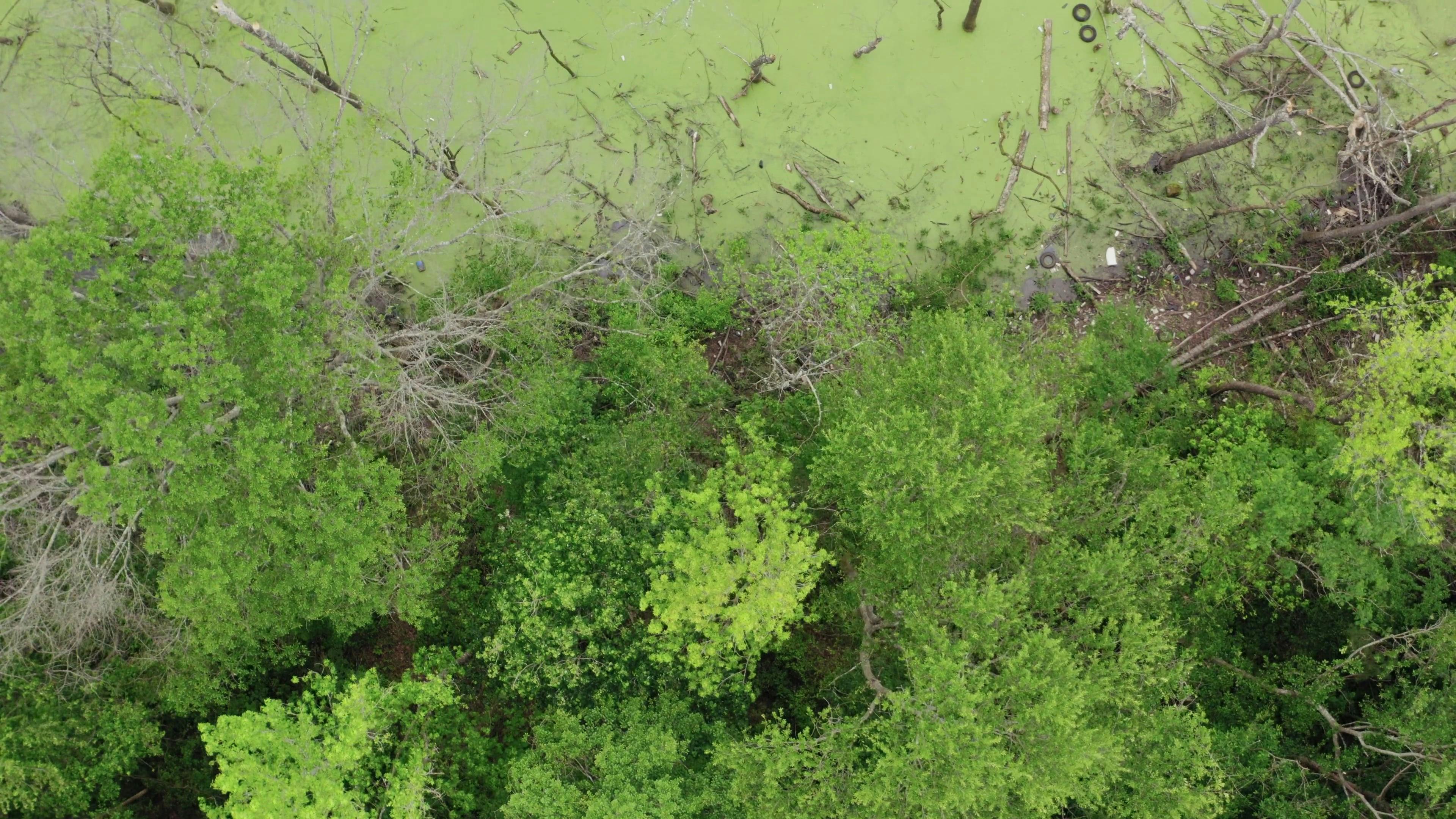 Bio Environment Videos, Download The BEST Free 4k Stock Video Footage ...