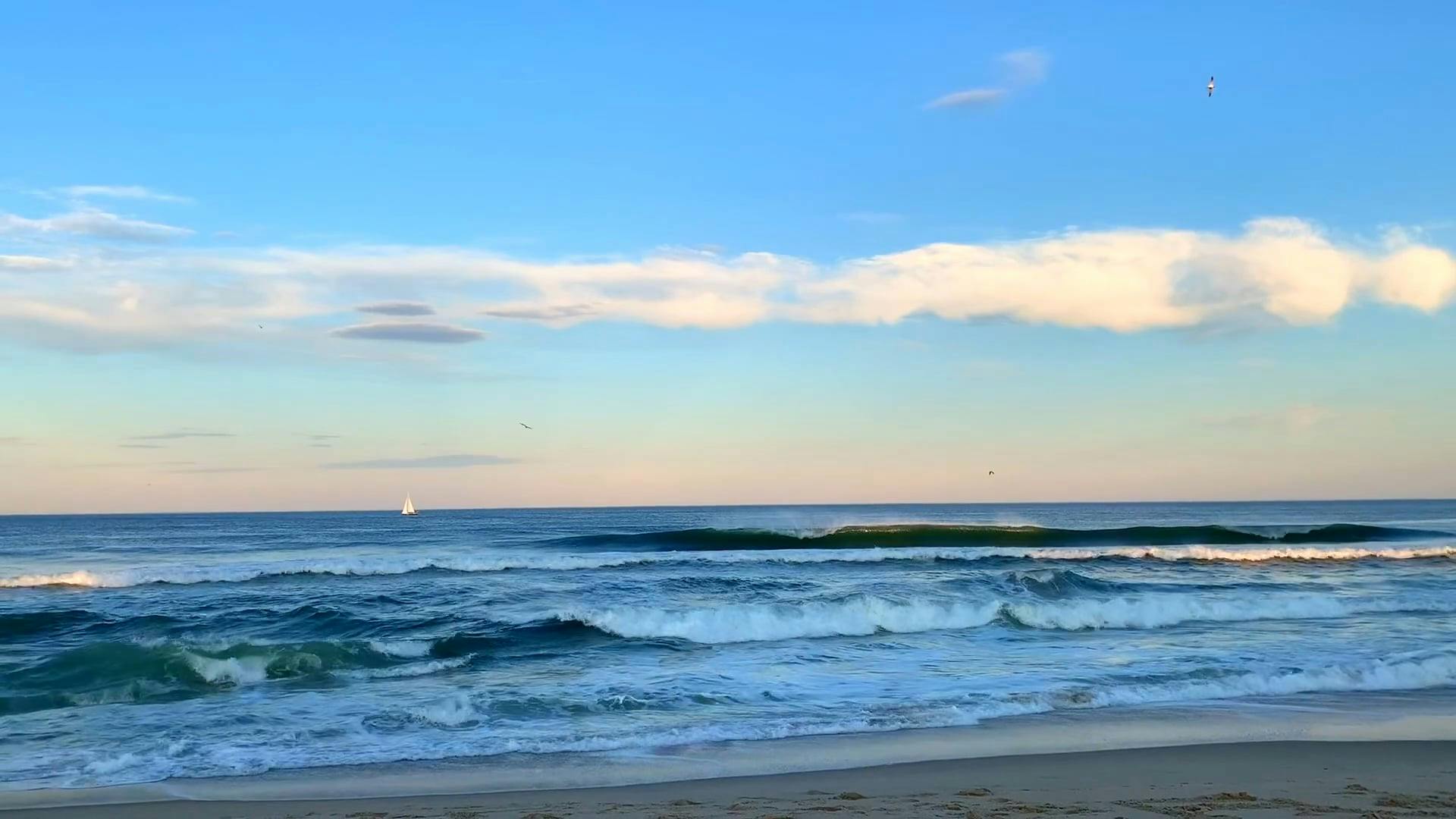 A Drone Footage of a Beach Free Stock Video Footage, Royalty-Free 4K ...