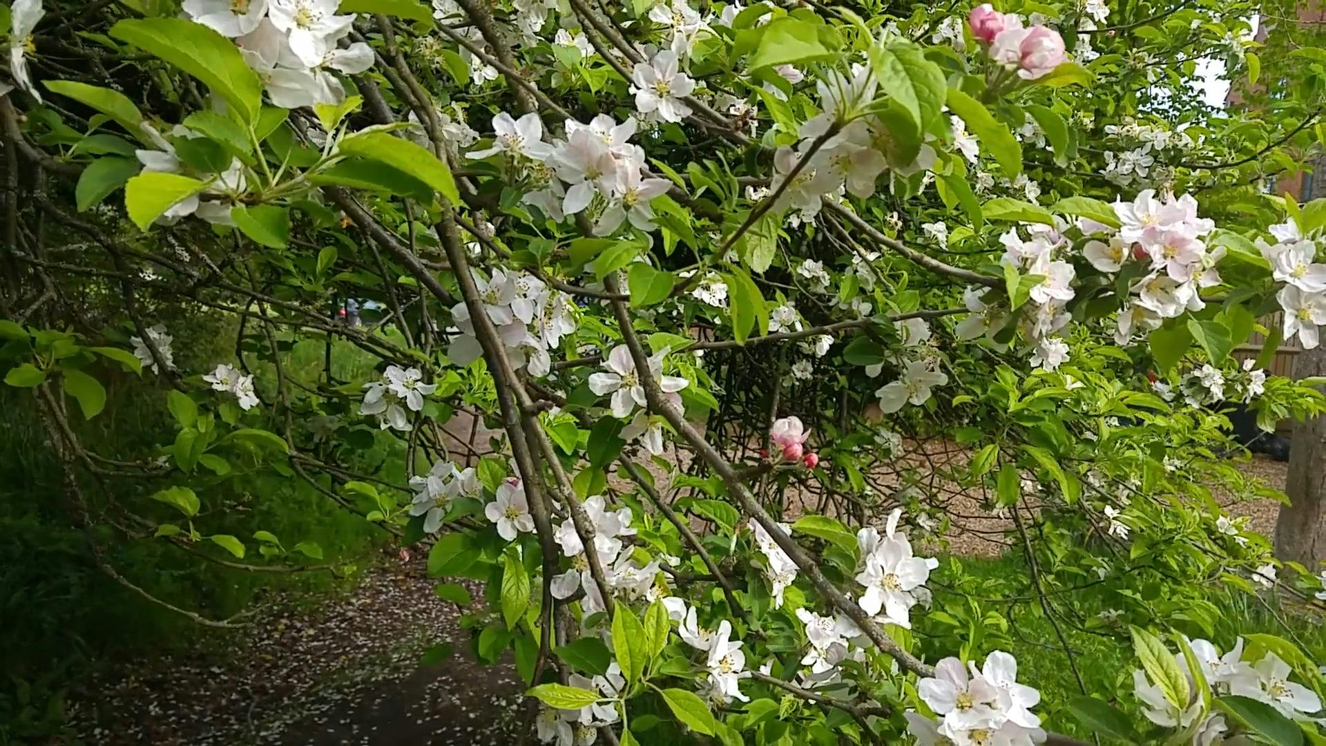 Meg Morris - Photography