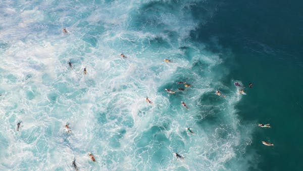 Beach Activity Videos, Download The BEST Free 4k Stock Video Footage ...