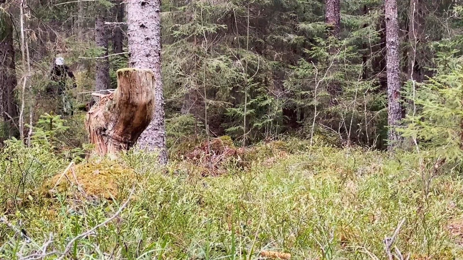 Mountain Biking Videos, Download The BEST Free 4k Stock Video Footage ...