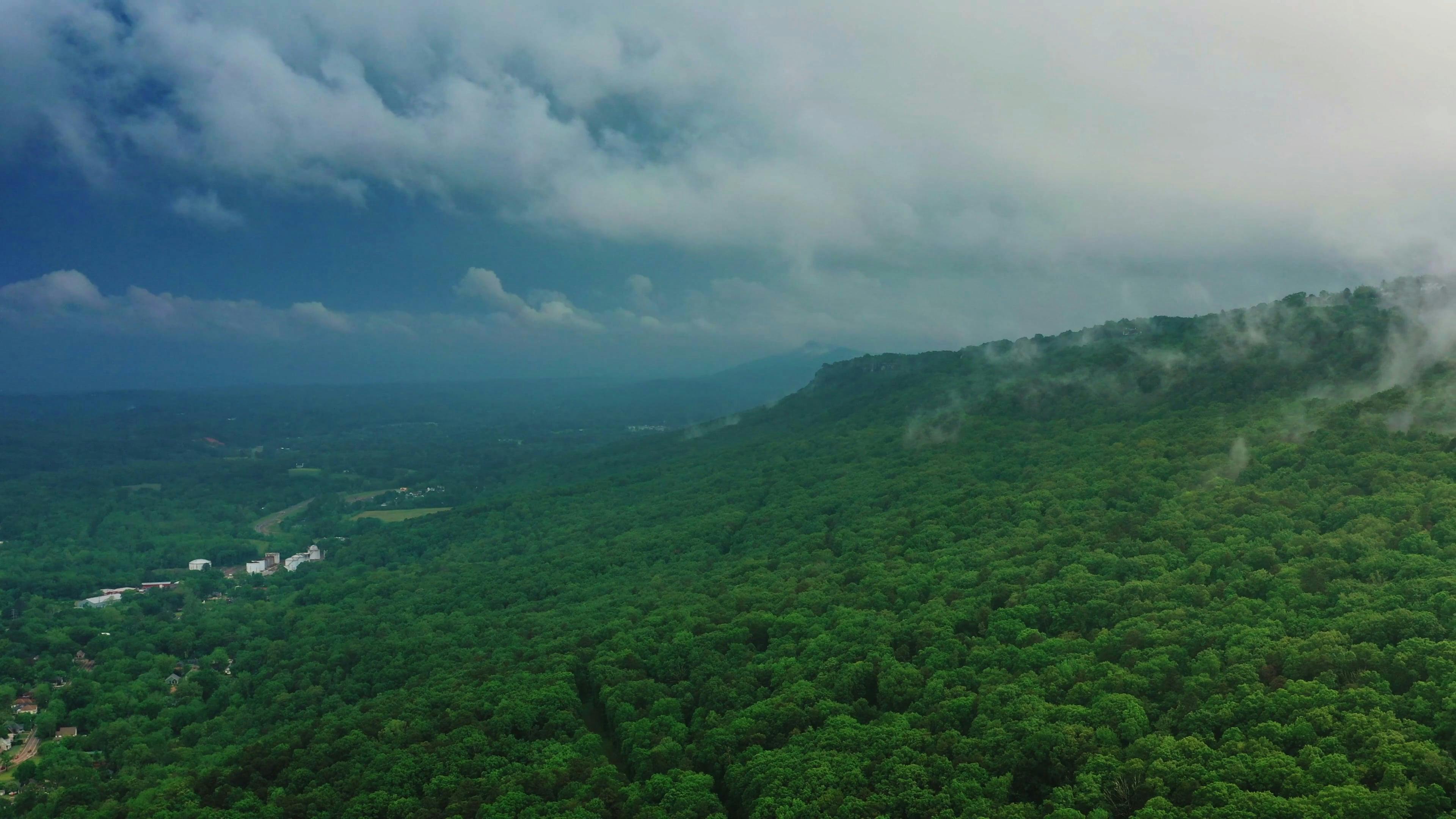 Drone Shot of a Forest Field · Free Stock Video