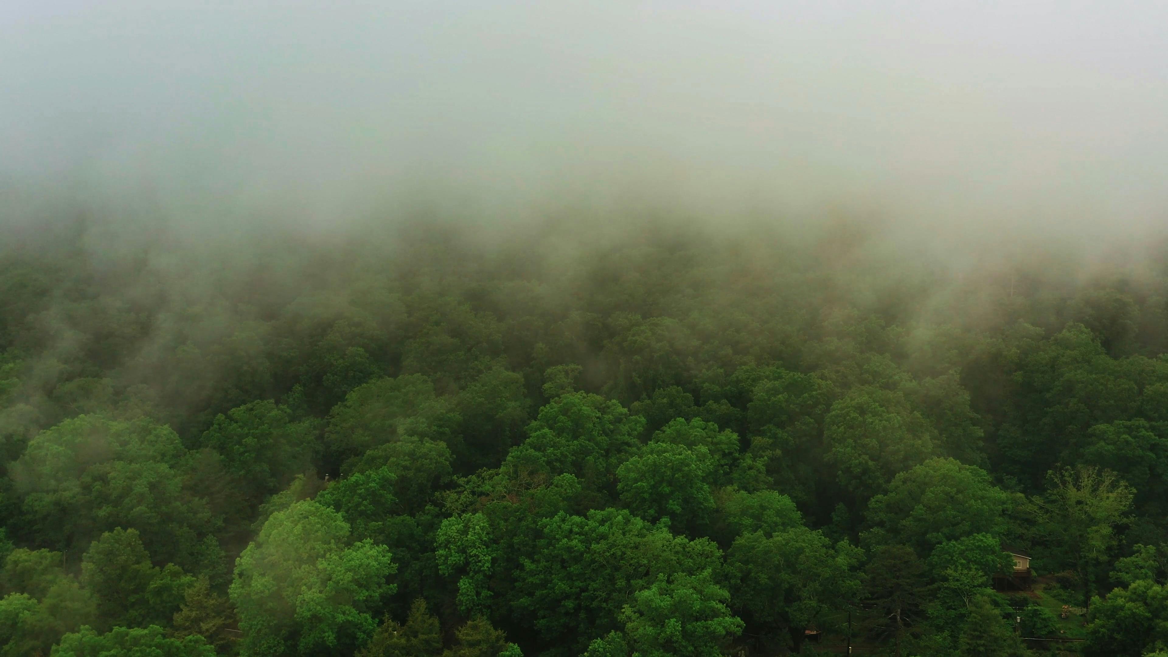 Drone Shot of a Forest Field Free Stock Video Footage, Royalty-Free 4K ...