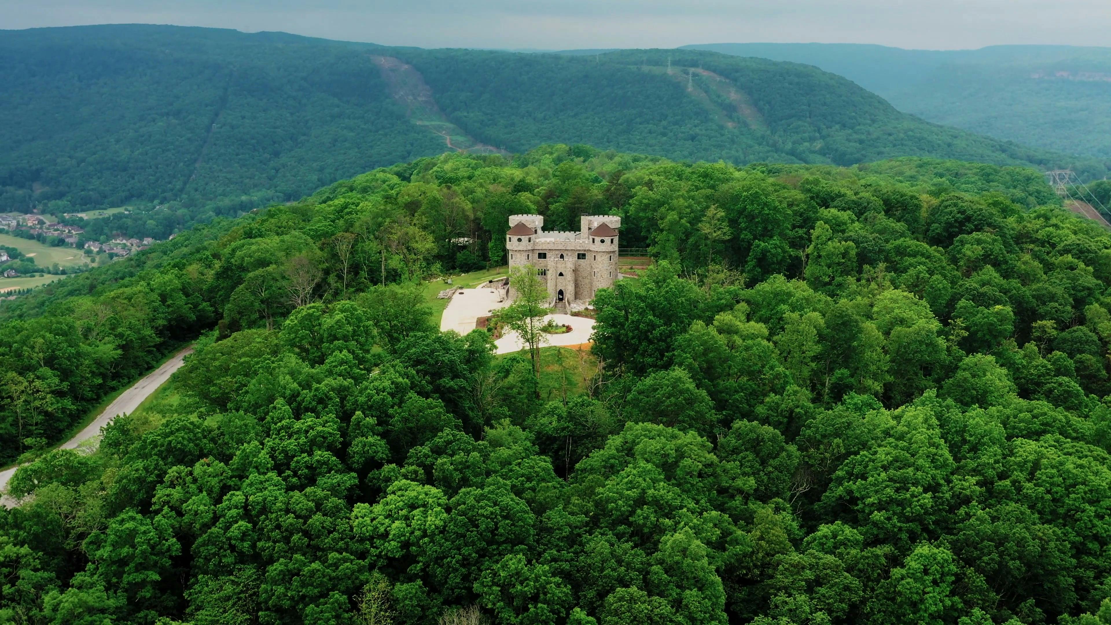 Treetop Forest Videos, Download The BEST Free 4k Stock Video Footage ...