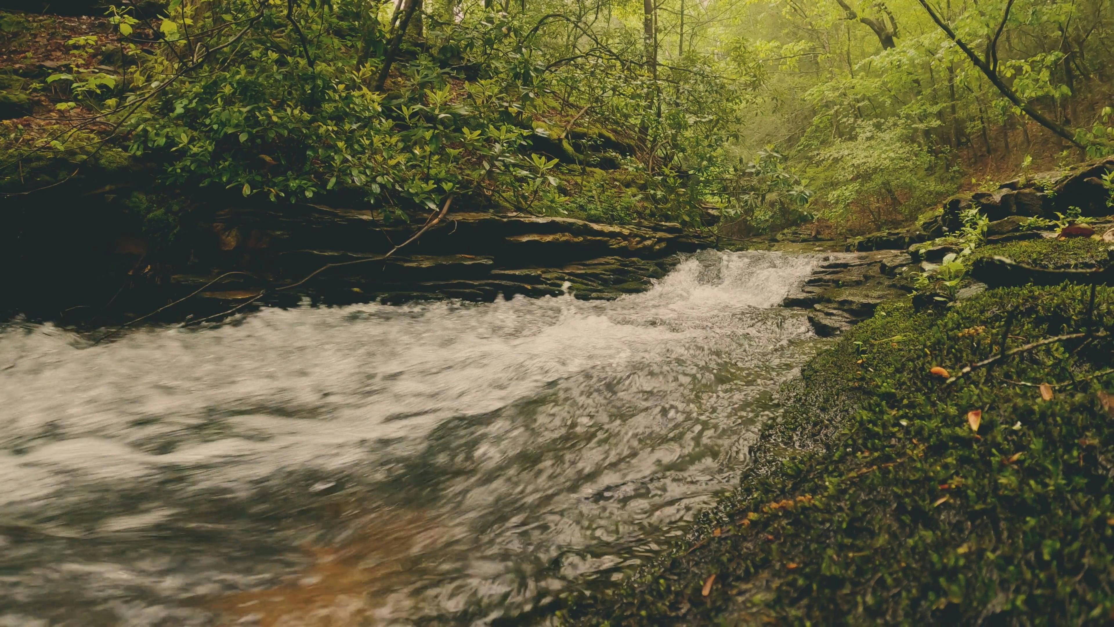 Peaceful Video Videos, Download The BEST Free 4k Stock Video Footage ...