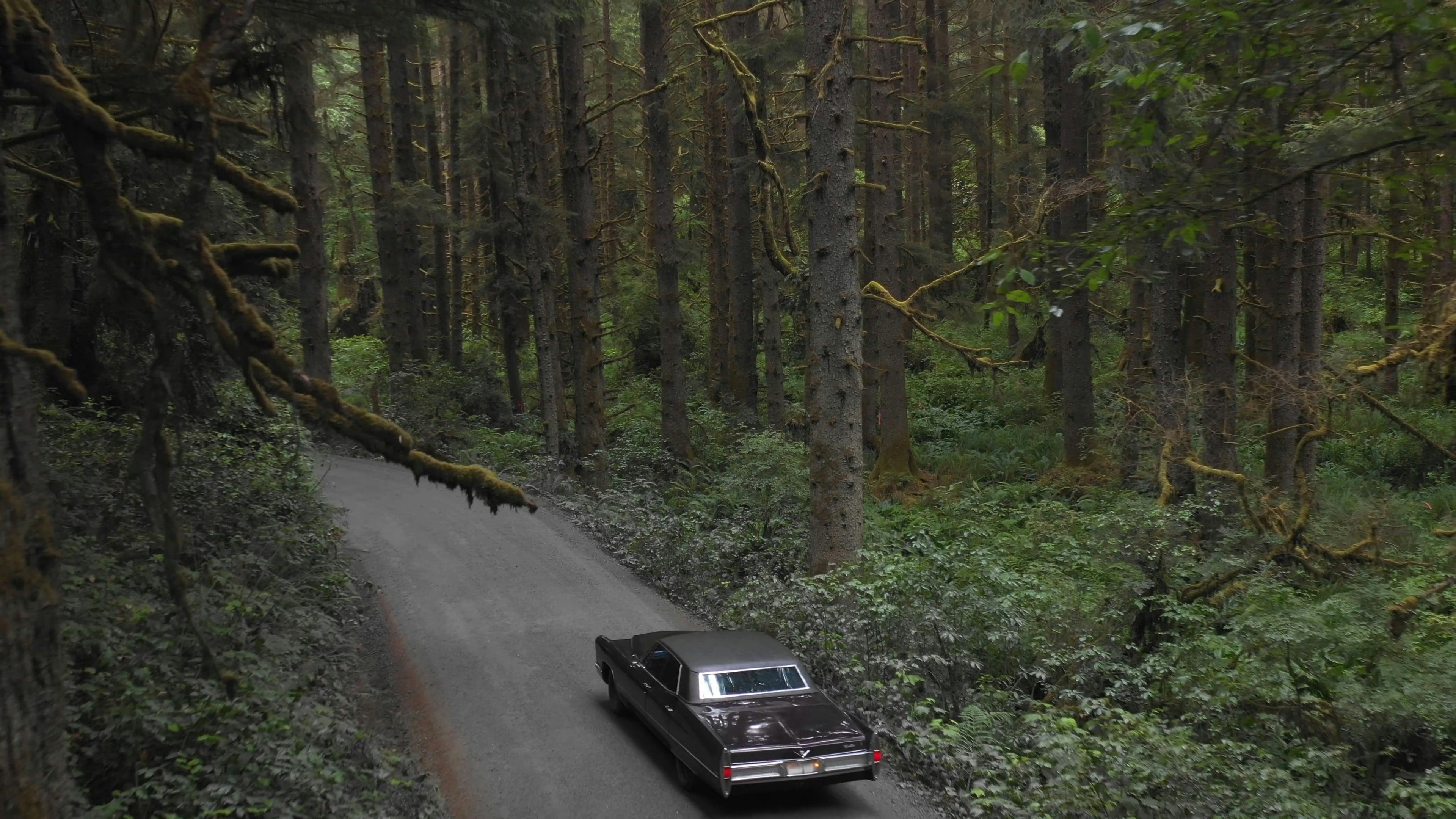 A Car On a Forest Road Free Stock Video Footage, Royalty-Free 4K & HD ...