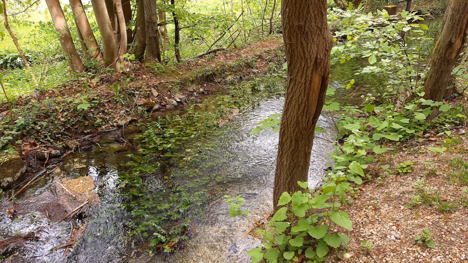 Course Videos, Download The BEST Free 4k Stock Video Footage & Course ...