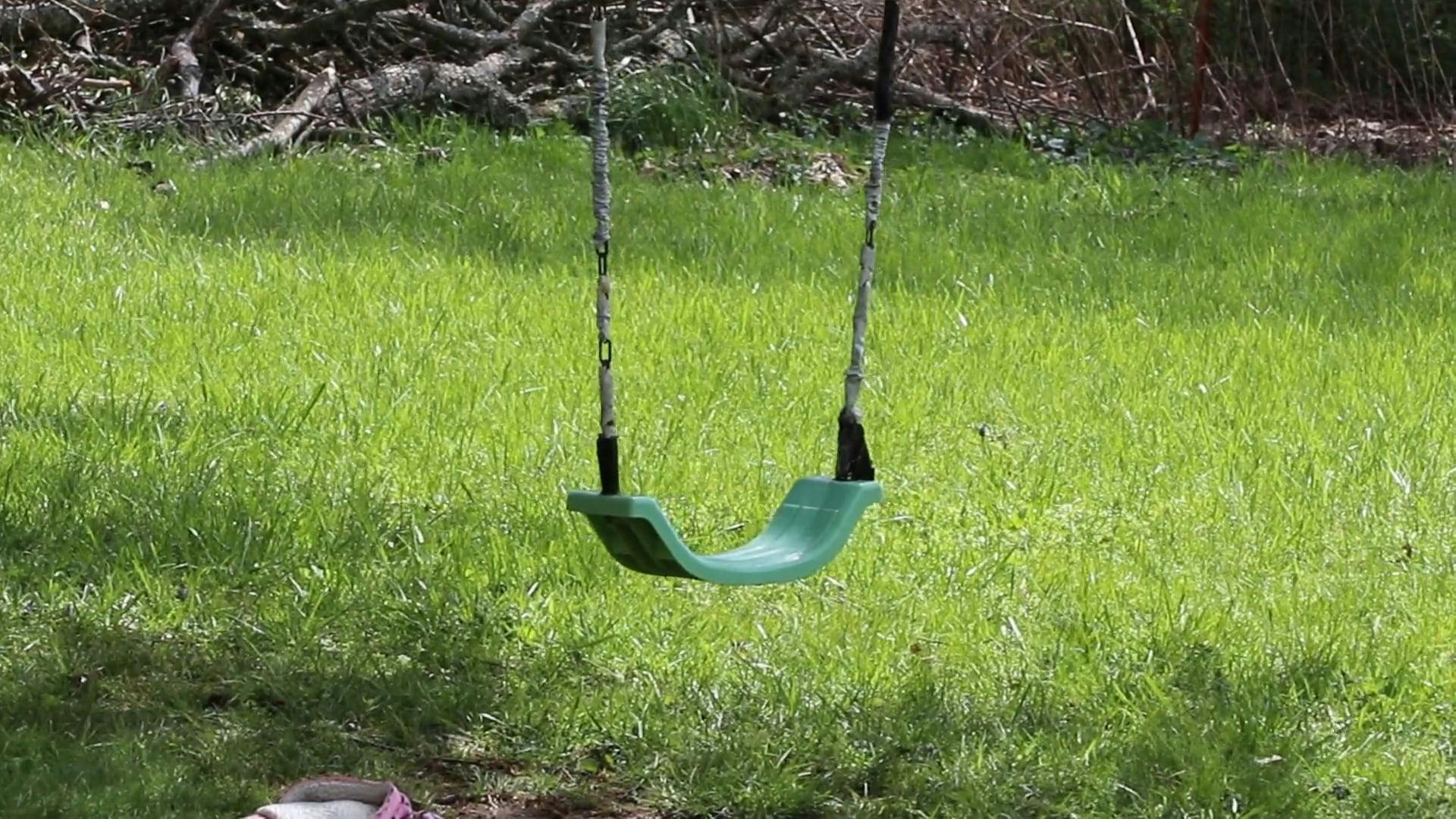 A Swing in a Grass Field · Free Stock Video