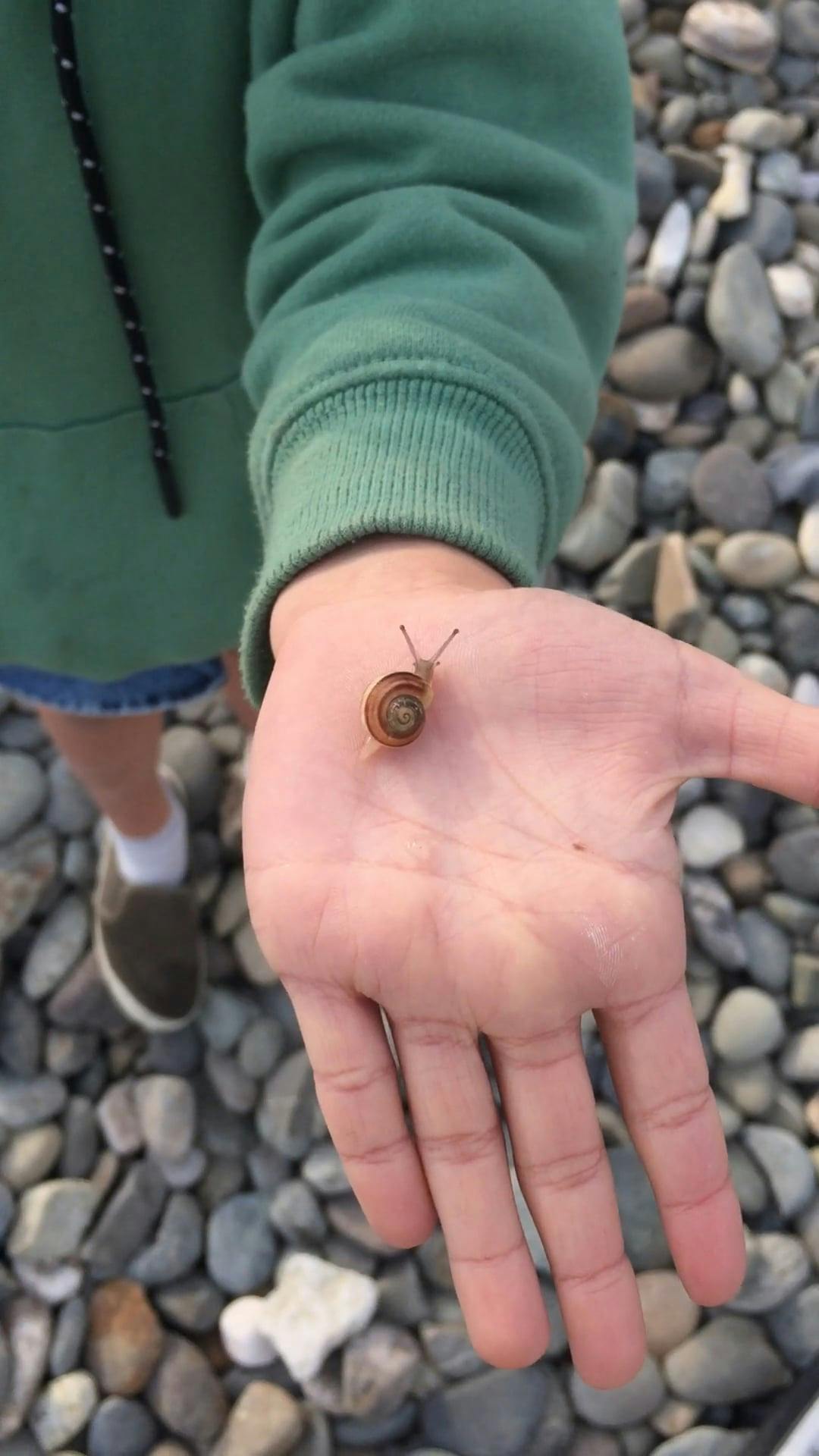 Holding A Pebble Videos, Download The BEST Free 4k Stock Video Footage ...