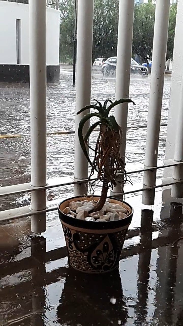 Urban Flooding Videos, Download The BEST Free 4k Stock Video Footage ...