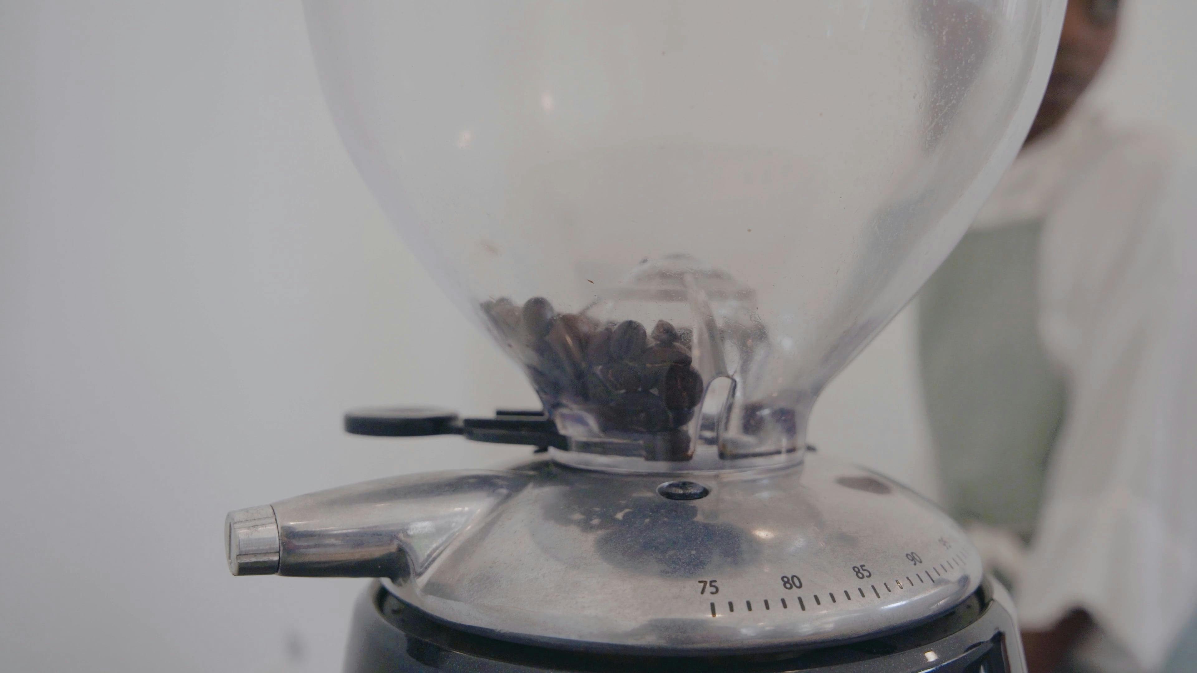 Close Up of Coffee Beans in a Bean Hopper · Free Stock Video