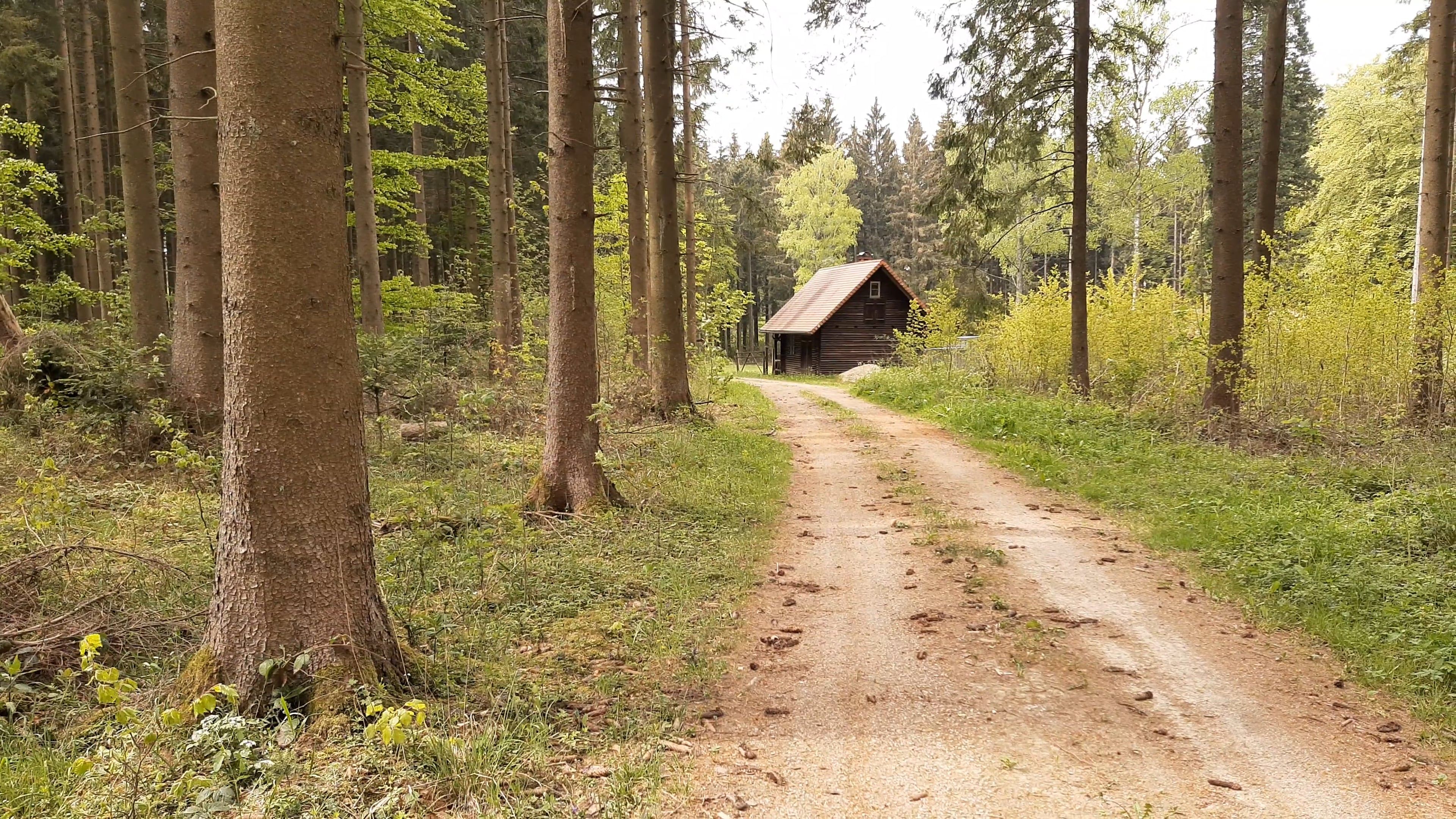 Grove Log Videos, Download The BEST Free 4k Stock Video Footage & Grove ...