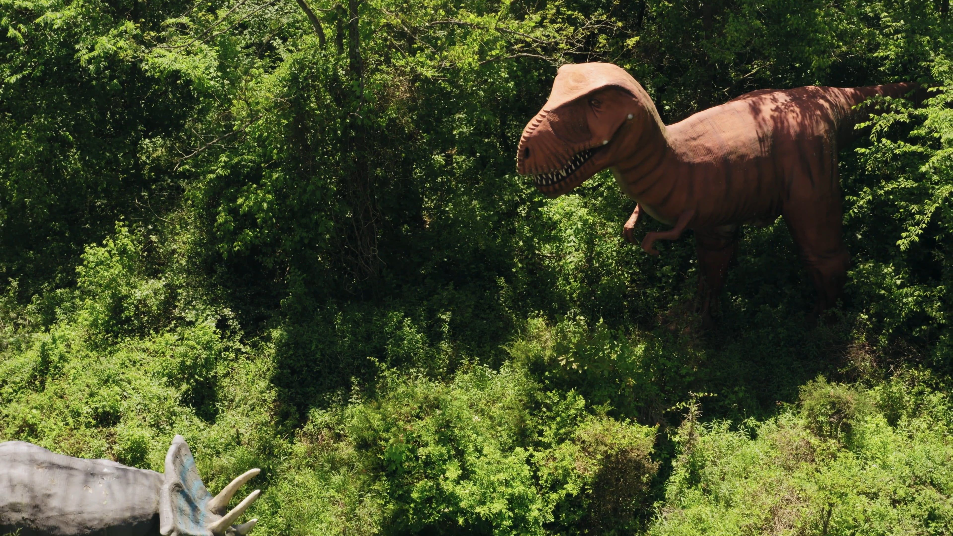 Dinosaurs Tree Videos, Download The BEST Free 4k Stock Video Footage ...