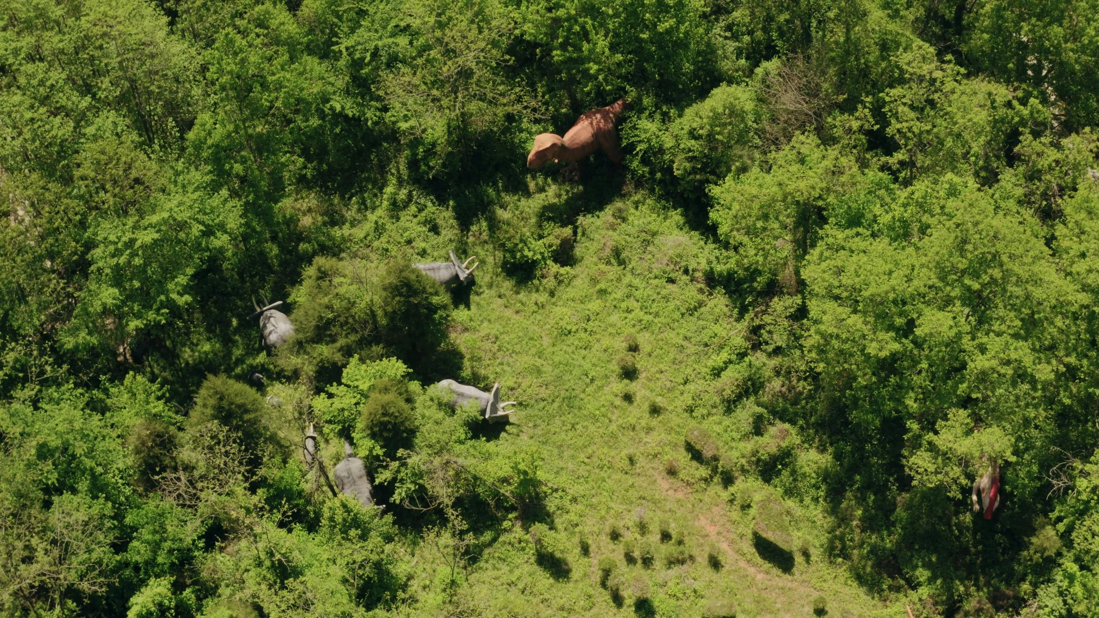 Environment Integration Videos, Download The BEST Free 4k Stock Video ...