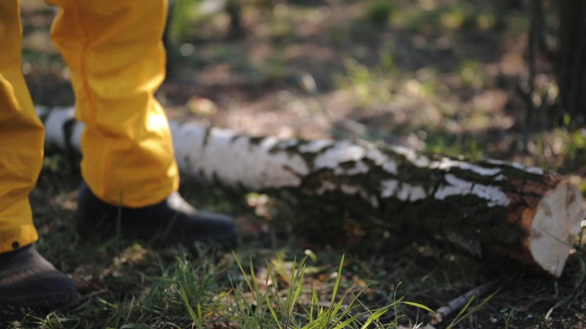 Saw Fallen Videos, Download The BEST Free 4k Stock Video Footage & Saw ...