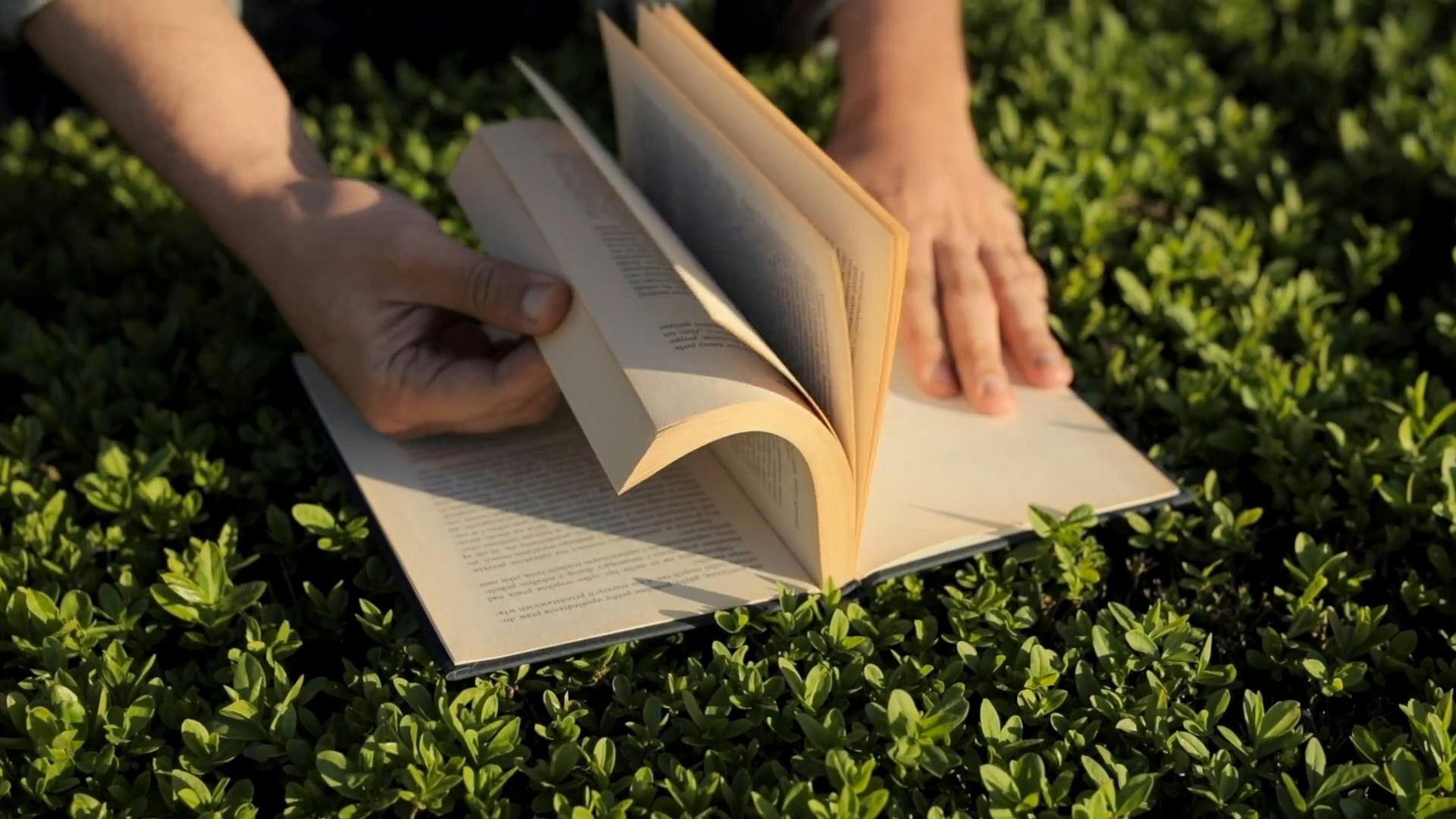 A Person Flipping Pages of a Book Free Stock Video Footage, Royalty ...