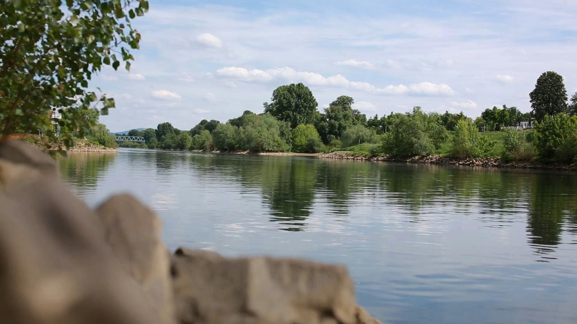 Movement In The Spring Videos, Download The BEST Free 4k Stock Video ...