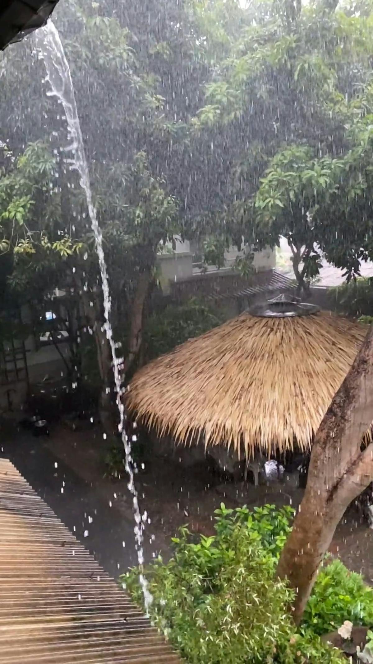 Live Wallpapers Rain Videos, Download The BEST Free 4k Stock Video ...