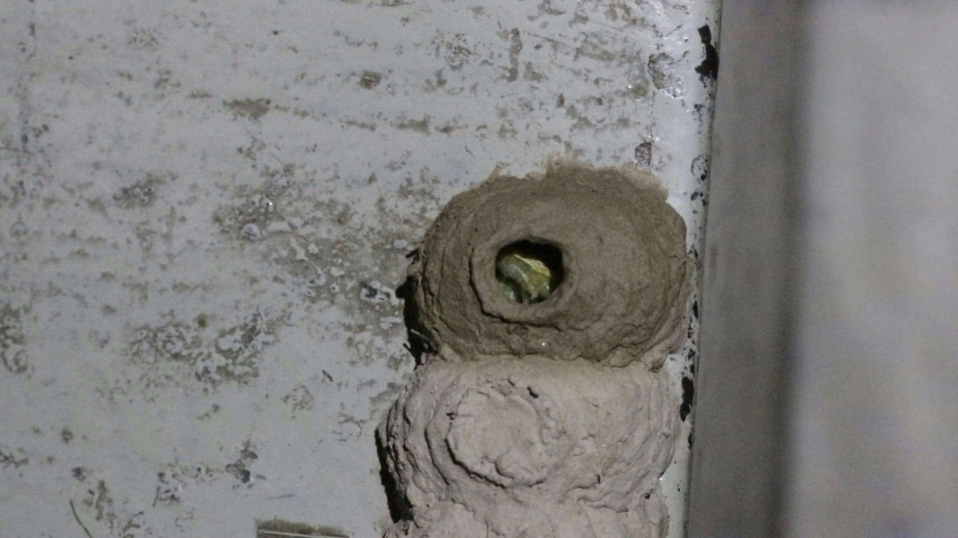 Worm Holes Videos, Download The BEST Free 4k Stock Video Footage & Worm ...