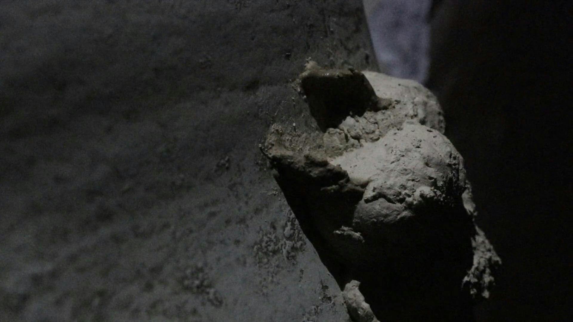 Adobe Background Videos, Download The BEST Free 4k Stock Video Footage ...