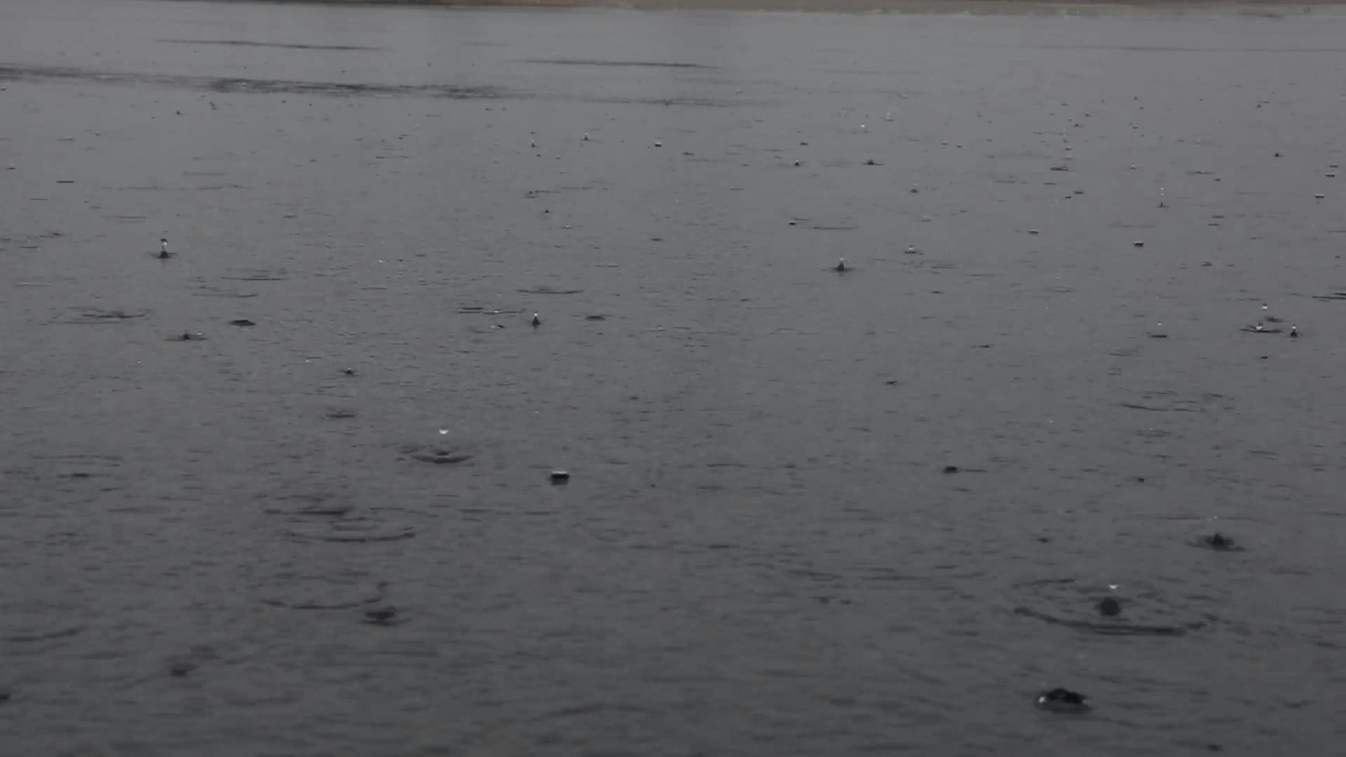 Rain Falling on the Water Free Stock Video Footage, Royalty-Free 4K ...