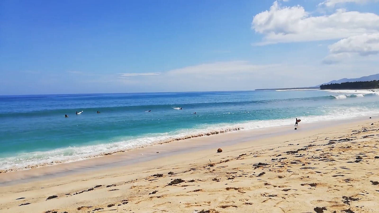 Beach Activities Videos, Download The BEST Free 4k Stock Video Footage ...