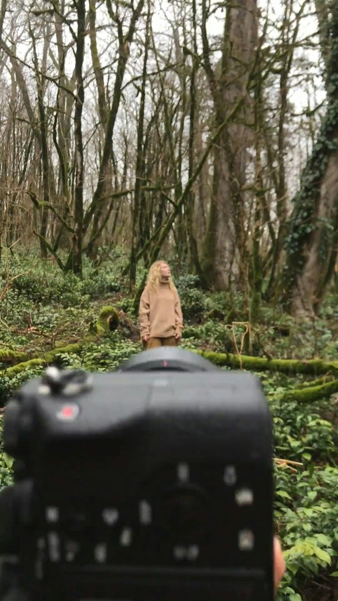 Walking In Forest Videos, Download The BEST Free 4k Stock Video Footage ...