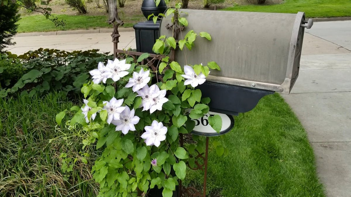 Mail Videos, Download The BEST Free 4k Stock Video Footage & Mail HD ...