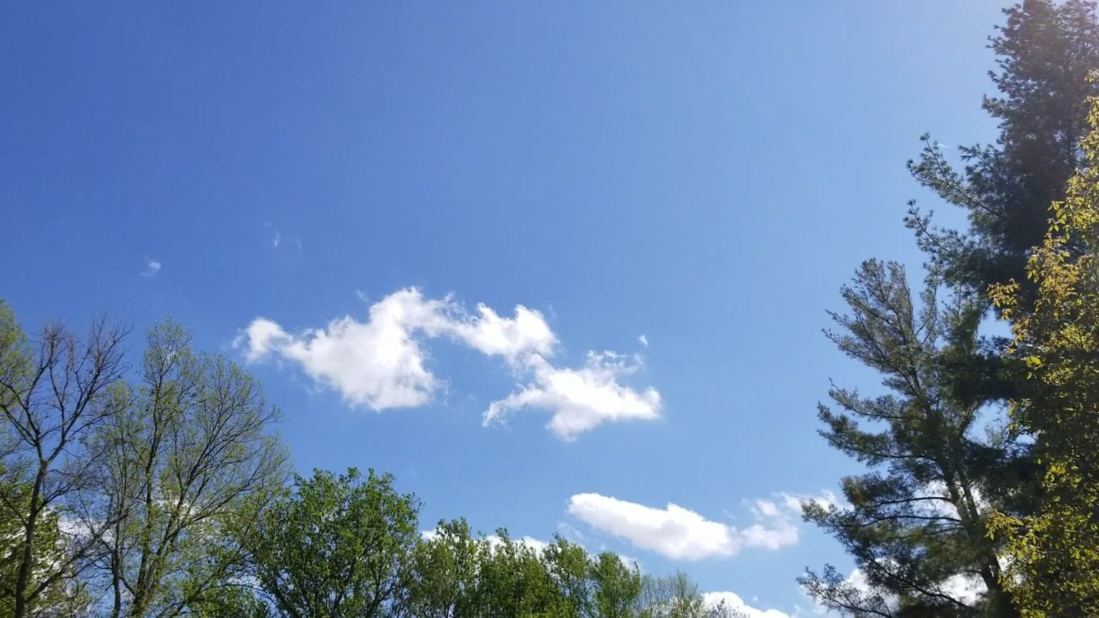 Windy Day Images Videos, Download The BEST Free 4k Stock Video Footage ...