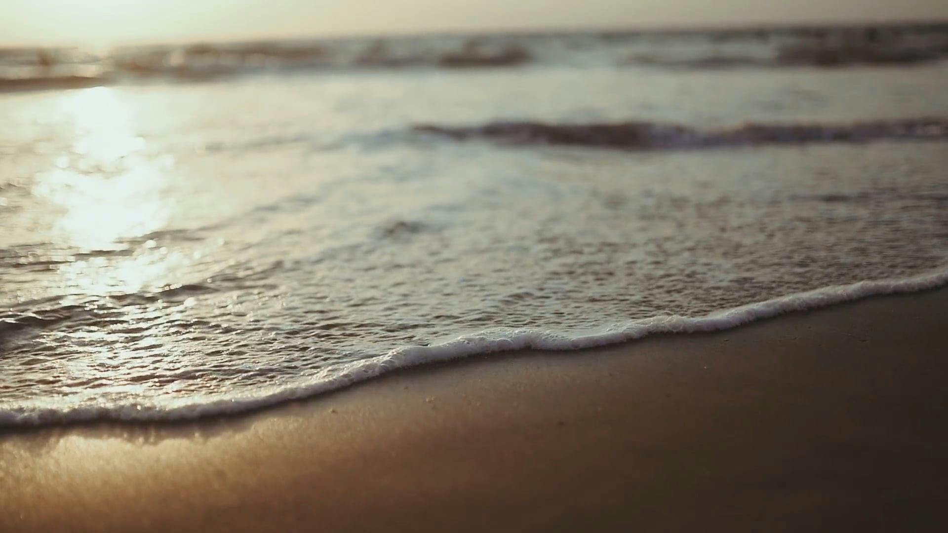 Tidal Wave Videos, Download The BEST Free 4k Stock Video Footage ...