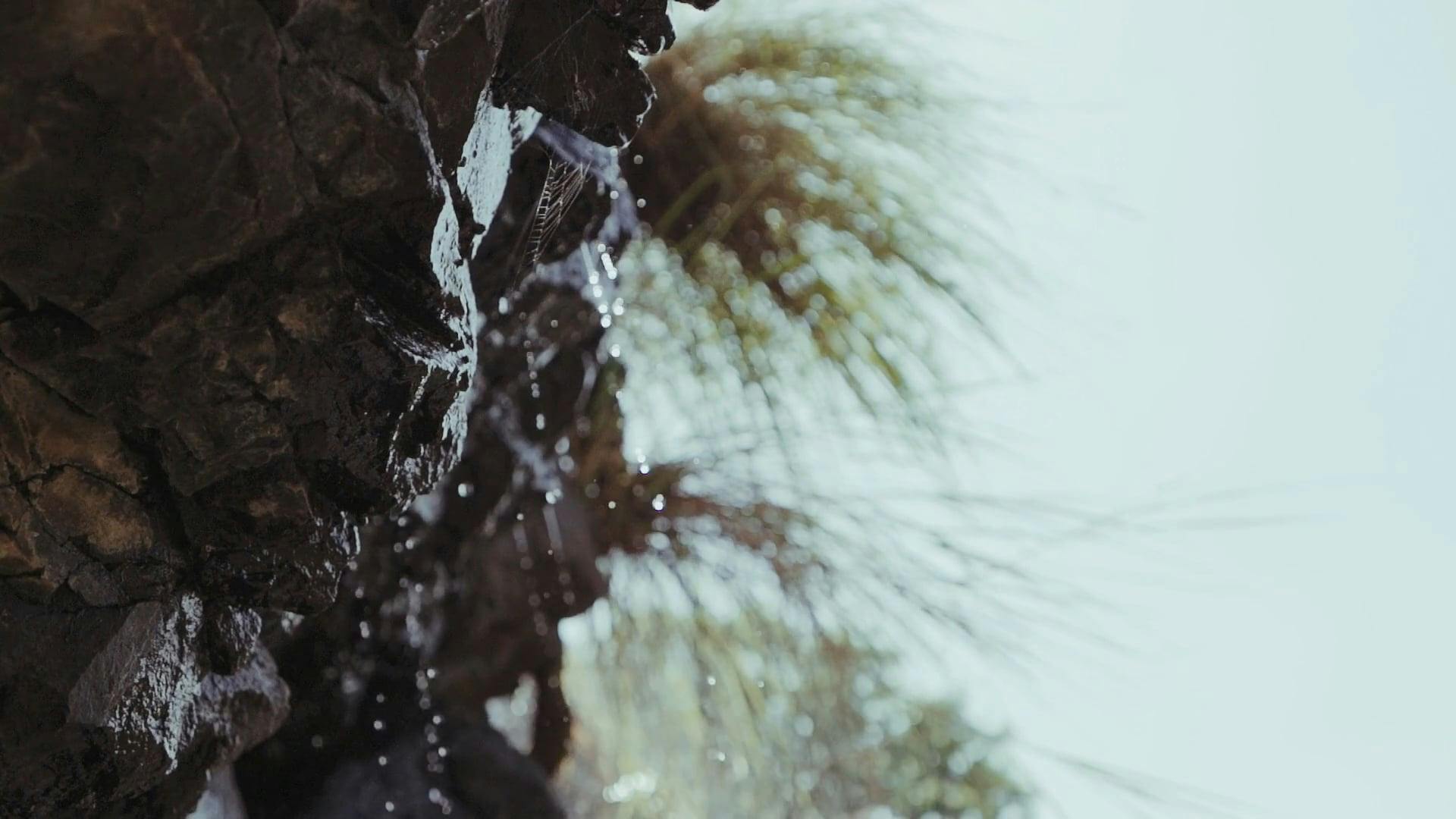 Indian Backdrops Videos, Download The BEST Free 4k Stock Video Footage ...