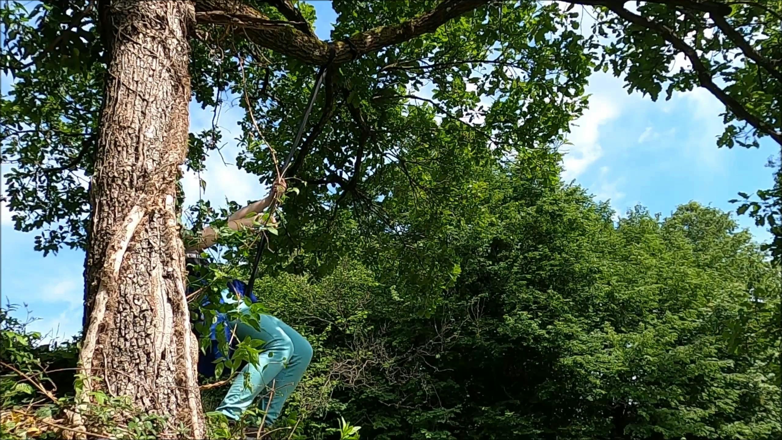 Relex Videos, Download The BEST Free 4k Stock Video Footage & Relex HD ...