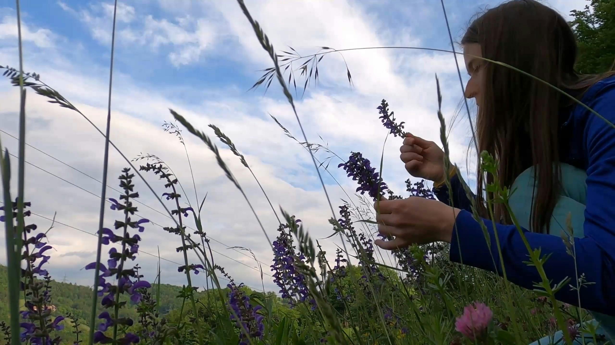 Relexing Vedios Videos, Download The BEST Free 4k Stock Video Footage ...