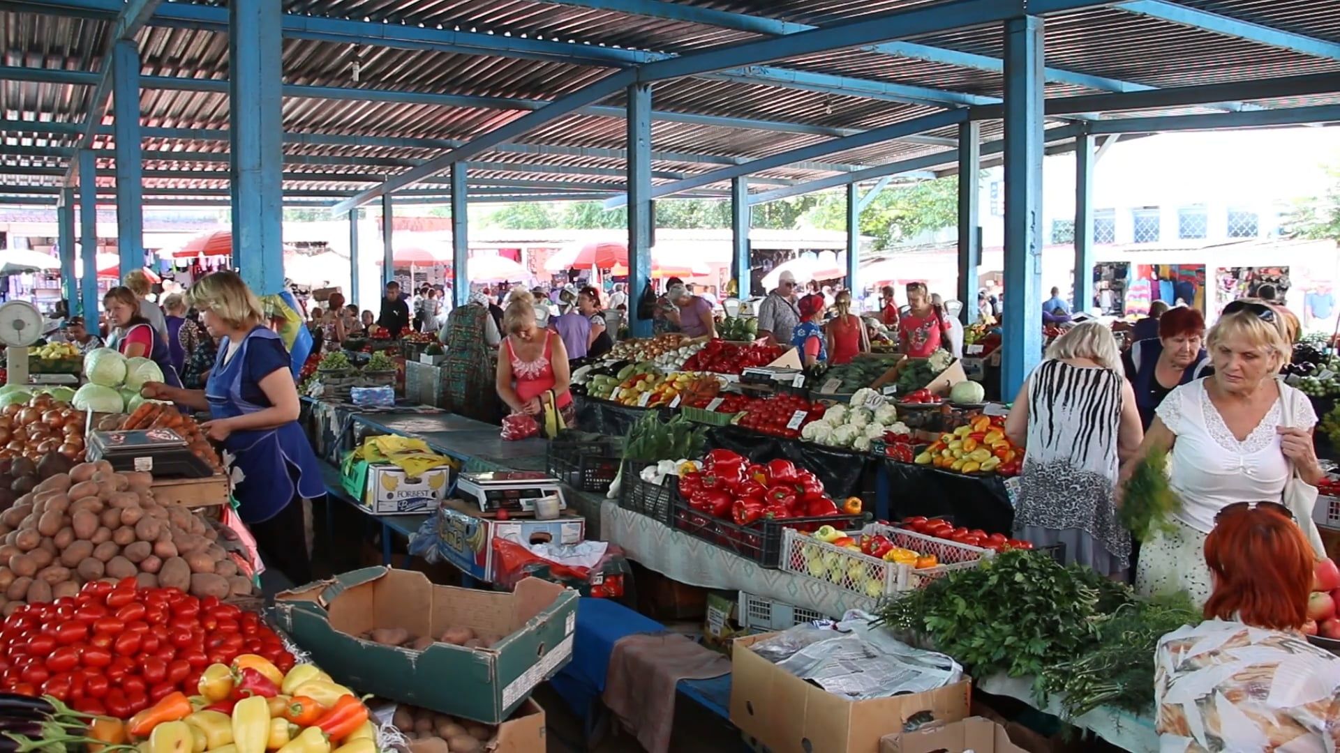 People At the Green Market Free Stock Video Footage, Royalty-Free 4K ...