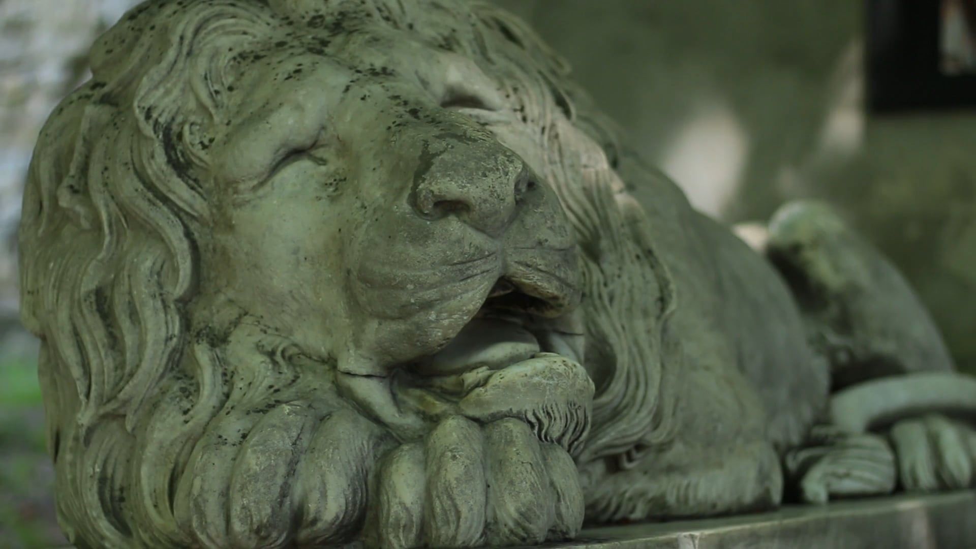 A Sculpture of a Lion Free Stock Video Footage, Royalty-Free 4K & HD ...