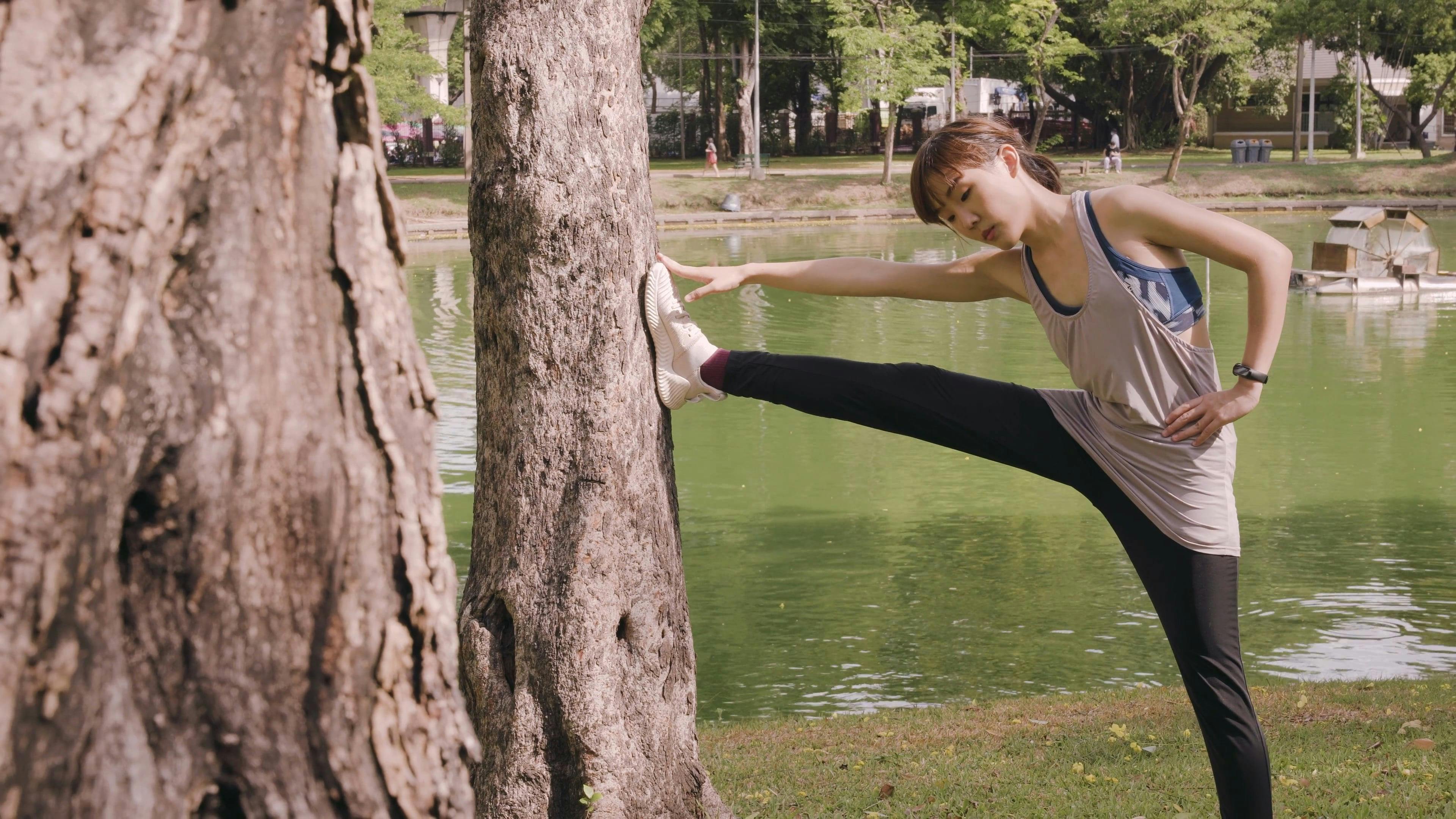 Pond Fit Videos, Download The BEST Free 4k Stock Video Footage & Pond ...