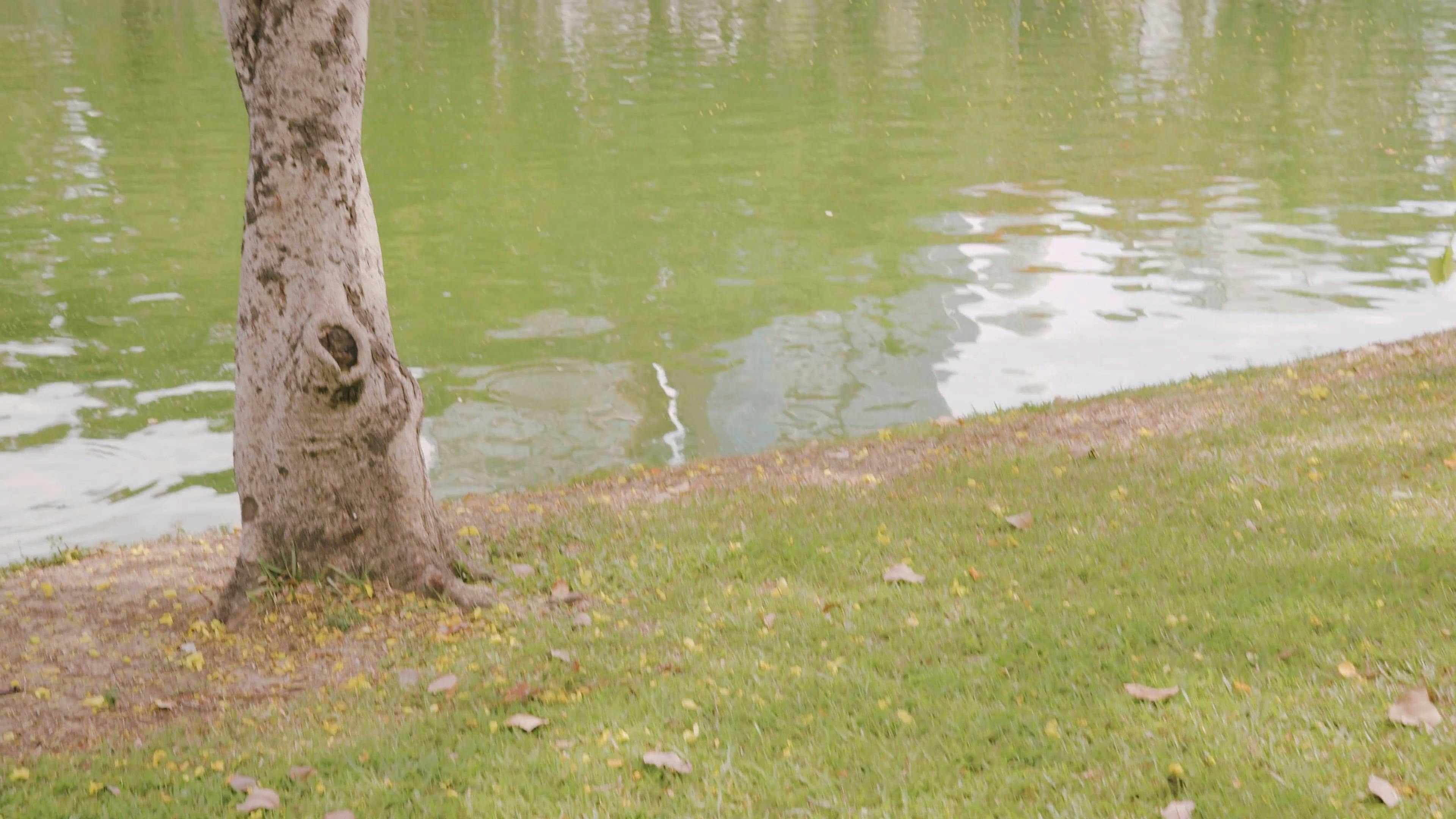 Body Stocks Videos, Download The BEST Free 4k Stock Video Footage ...