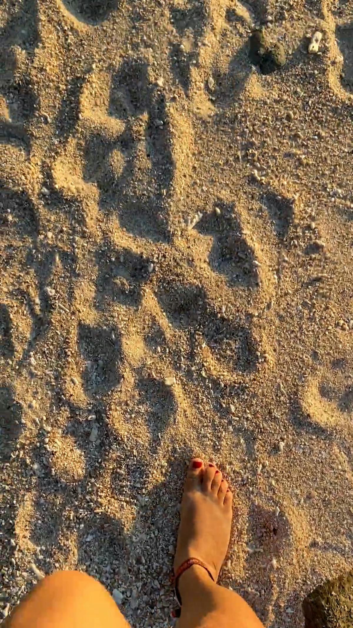 Beach Walk Videos, Download The BEST Free 4k Stock Video Footage ...