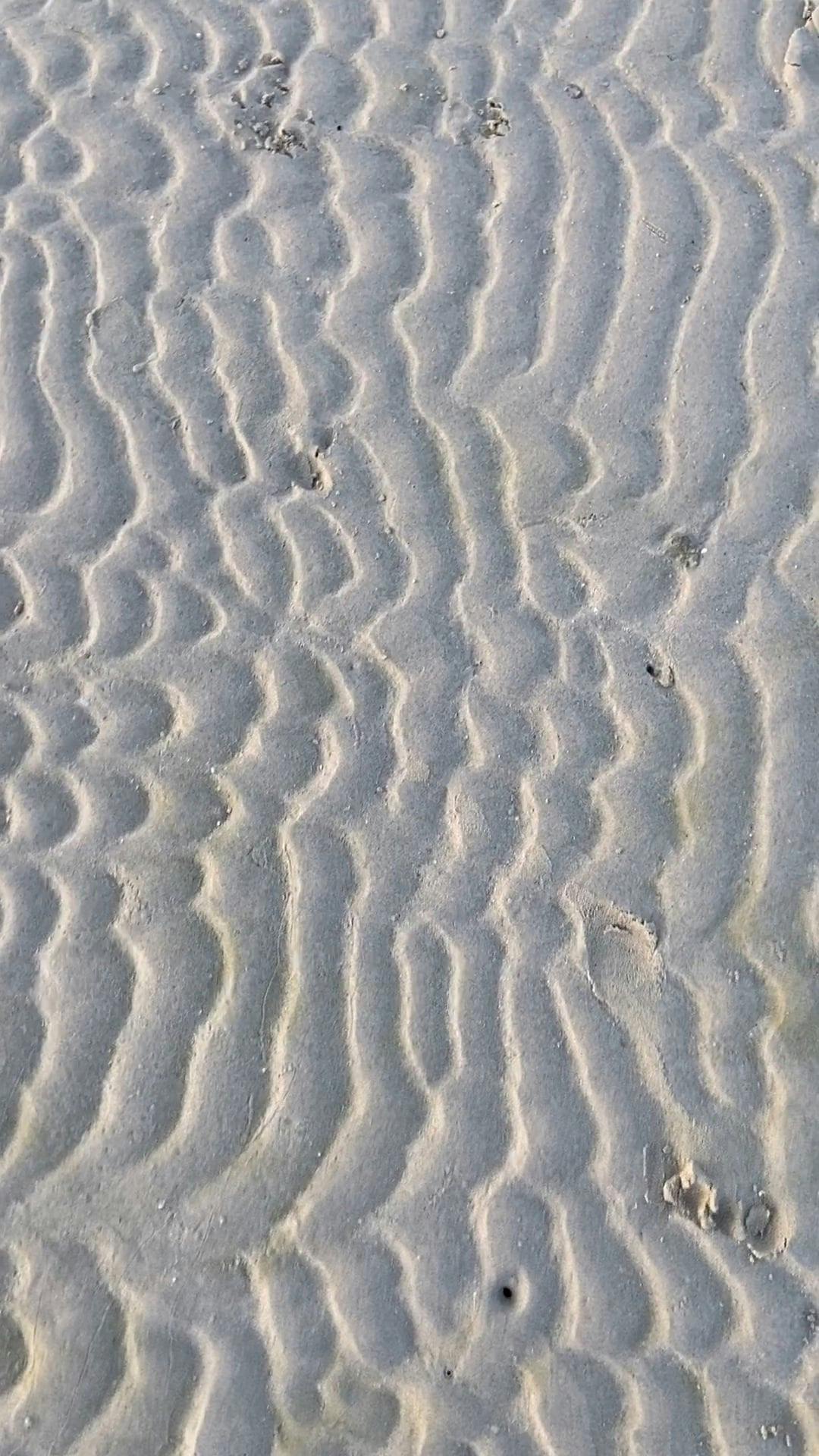 Windy Scene Videos, Download The BEST Free 4k Stock Video Footage ...