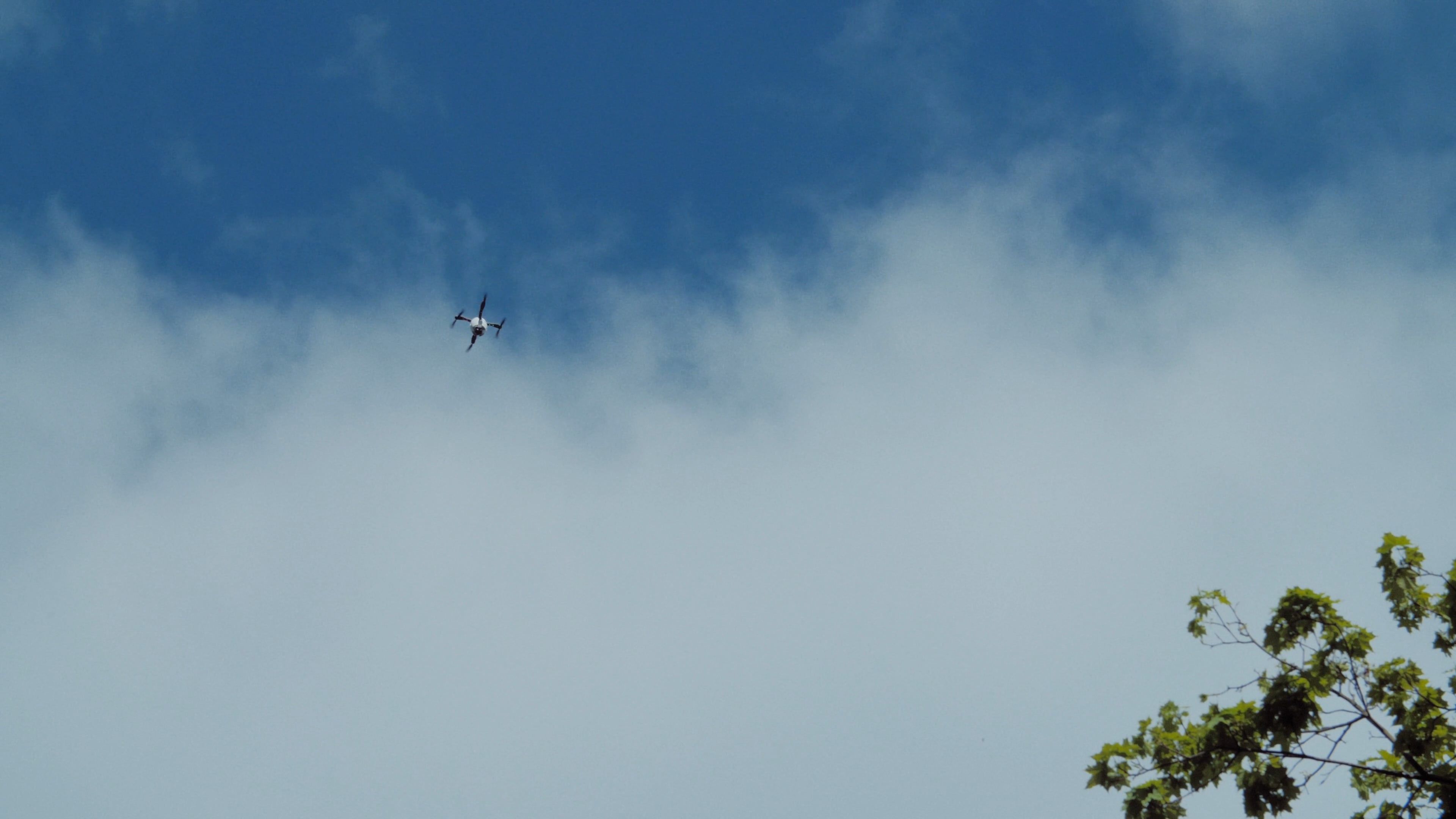 Done Flying in Blue Sky · Free Stock Video