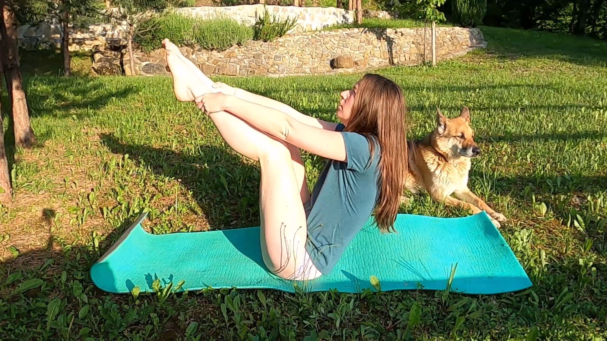 A Dog on Standing Position Free Stock Video Footage, Royalty-Free 4K ...