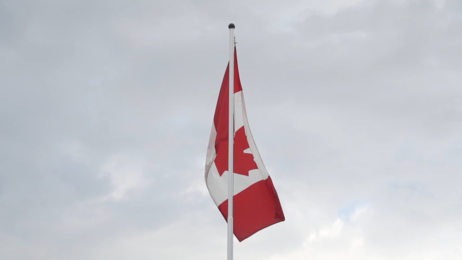 Video Of Canada's Flag On A Windy Day Free Stock Video Footage, Royalty ...