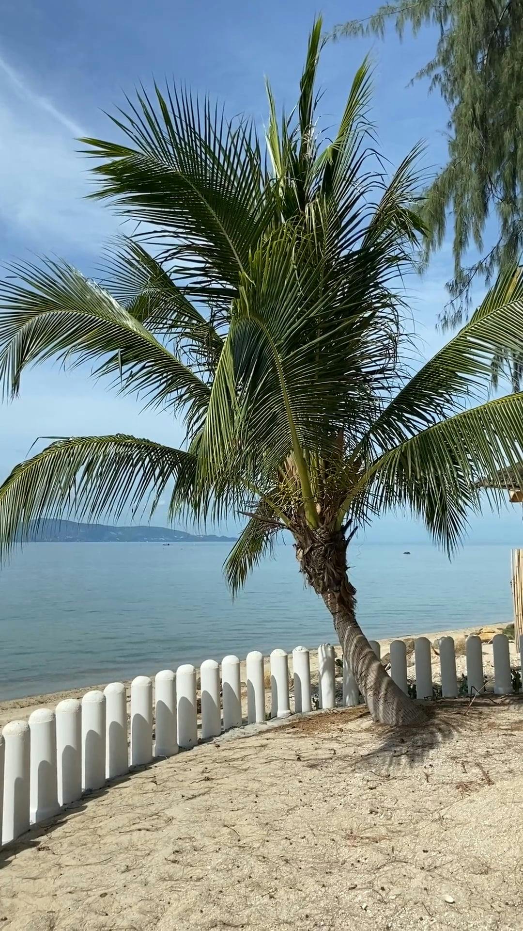 Summer At The Beach Free Stock Video Footage, Royalty-Free 4K & HD ...