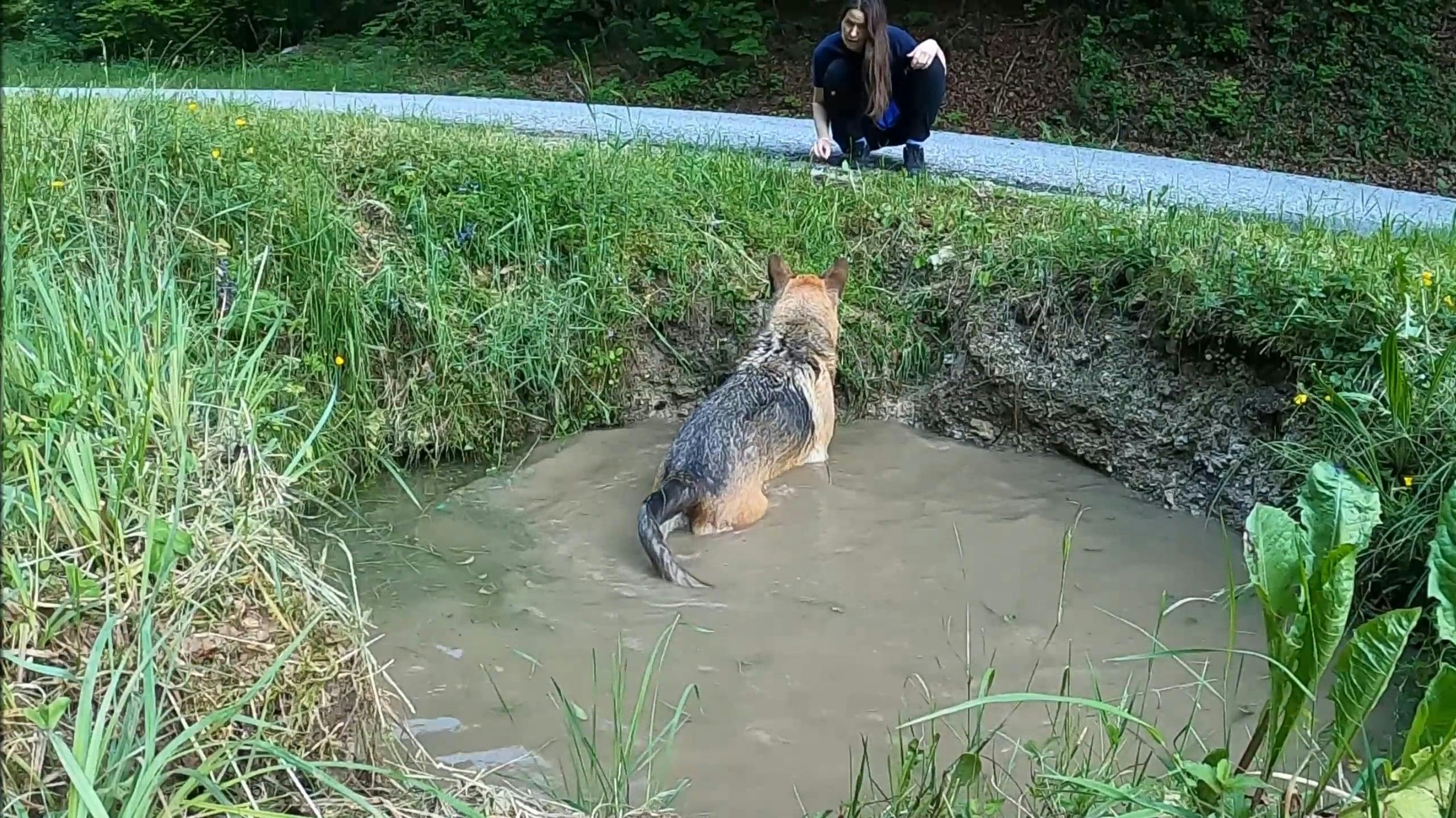 Puddle Lover Videos, Download The BEST Free 4k Stock Video Footage ...