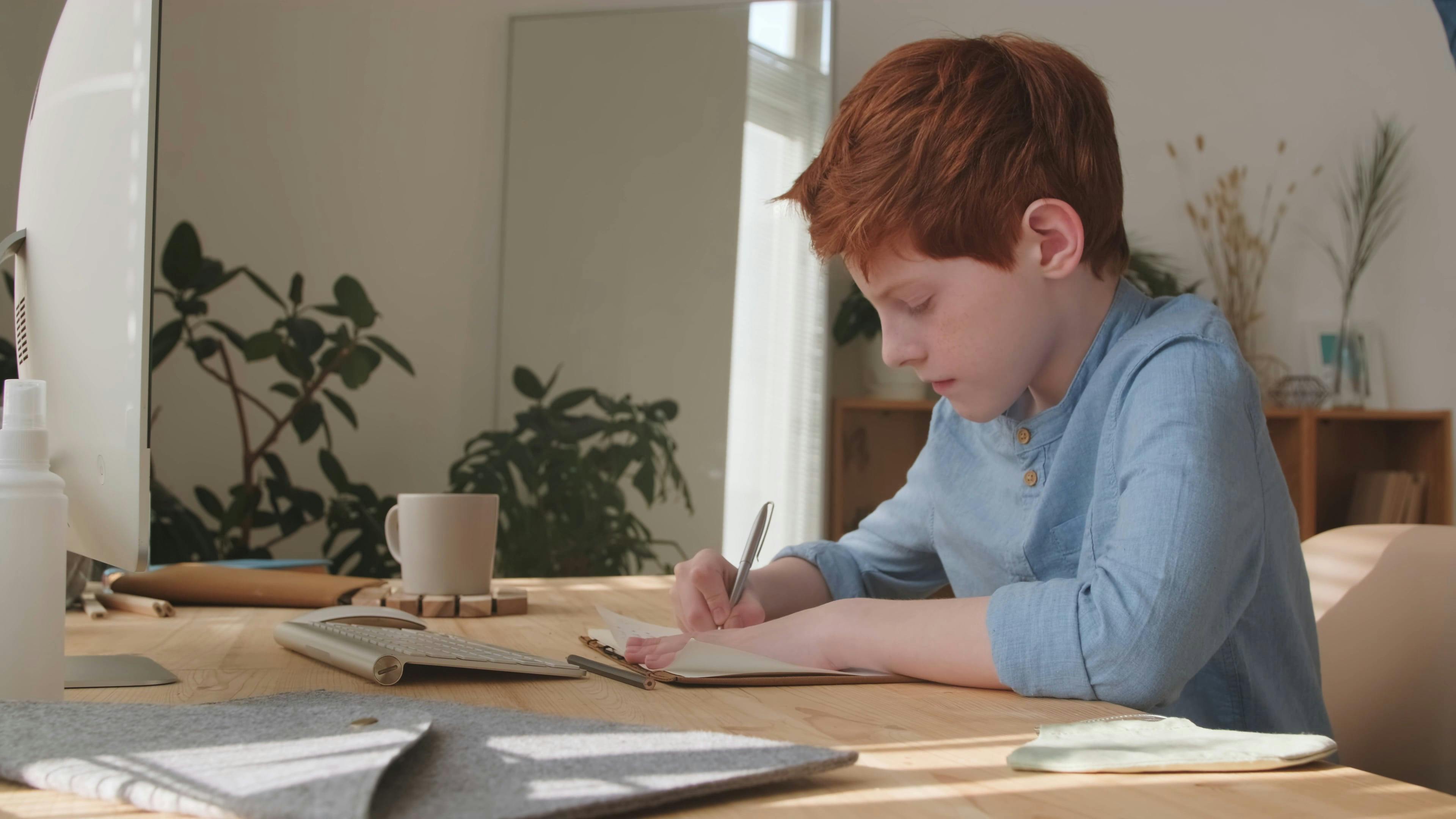 Boy Doing His Homework Free Stock Video Footage, Royalty-Free 4K & HD ...