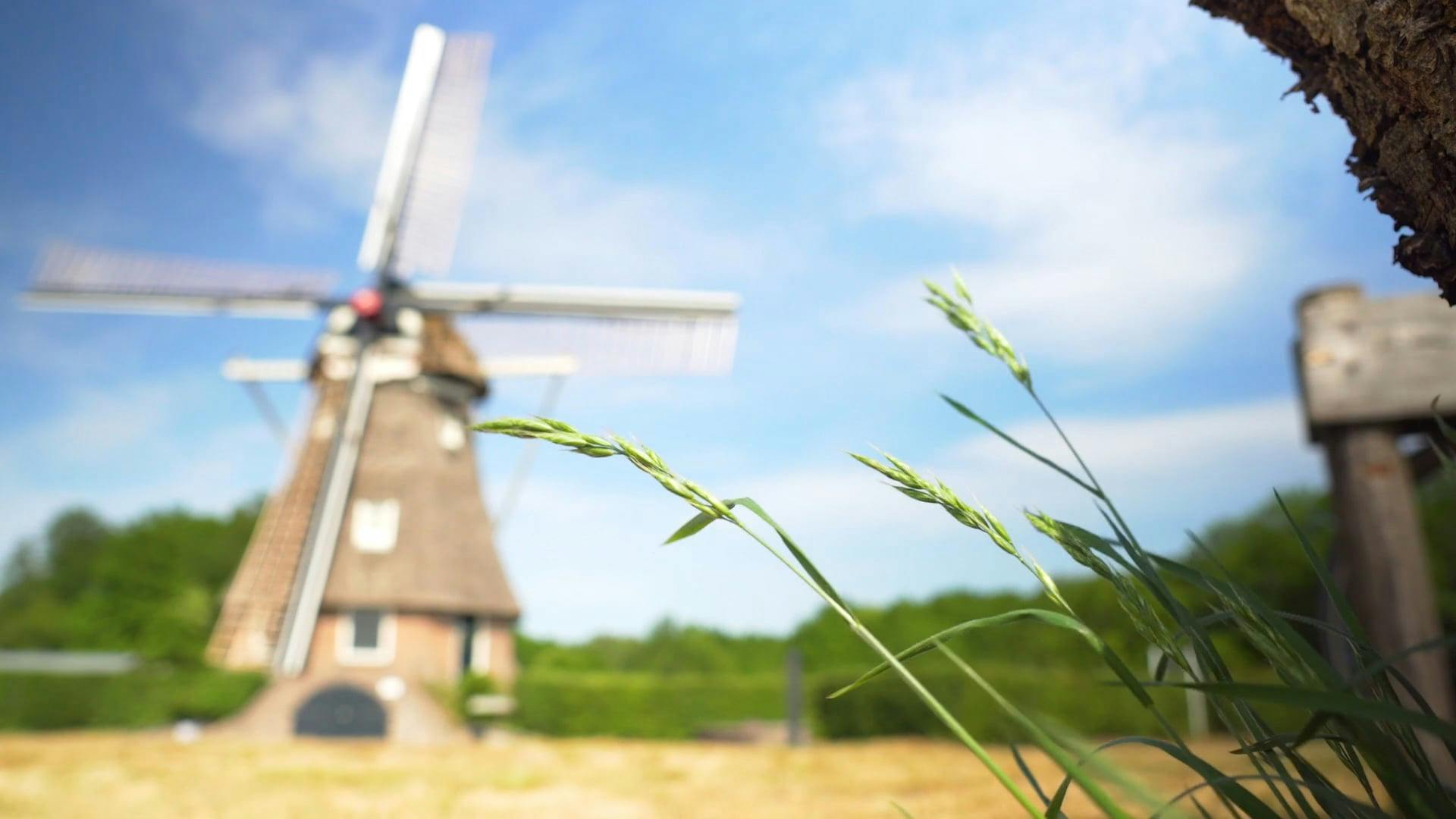 Dutch Windmill Videos, Download The BEST Free 4k Stock Video Footage ...