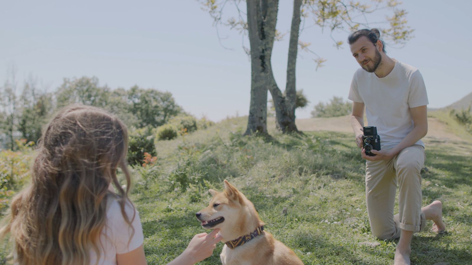 Dog Facing Camera Videos, Download The BEST Free 4k Stock Video Footage ...